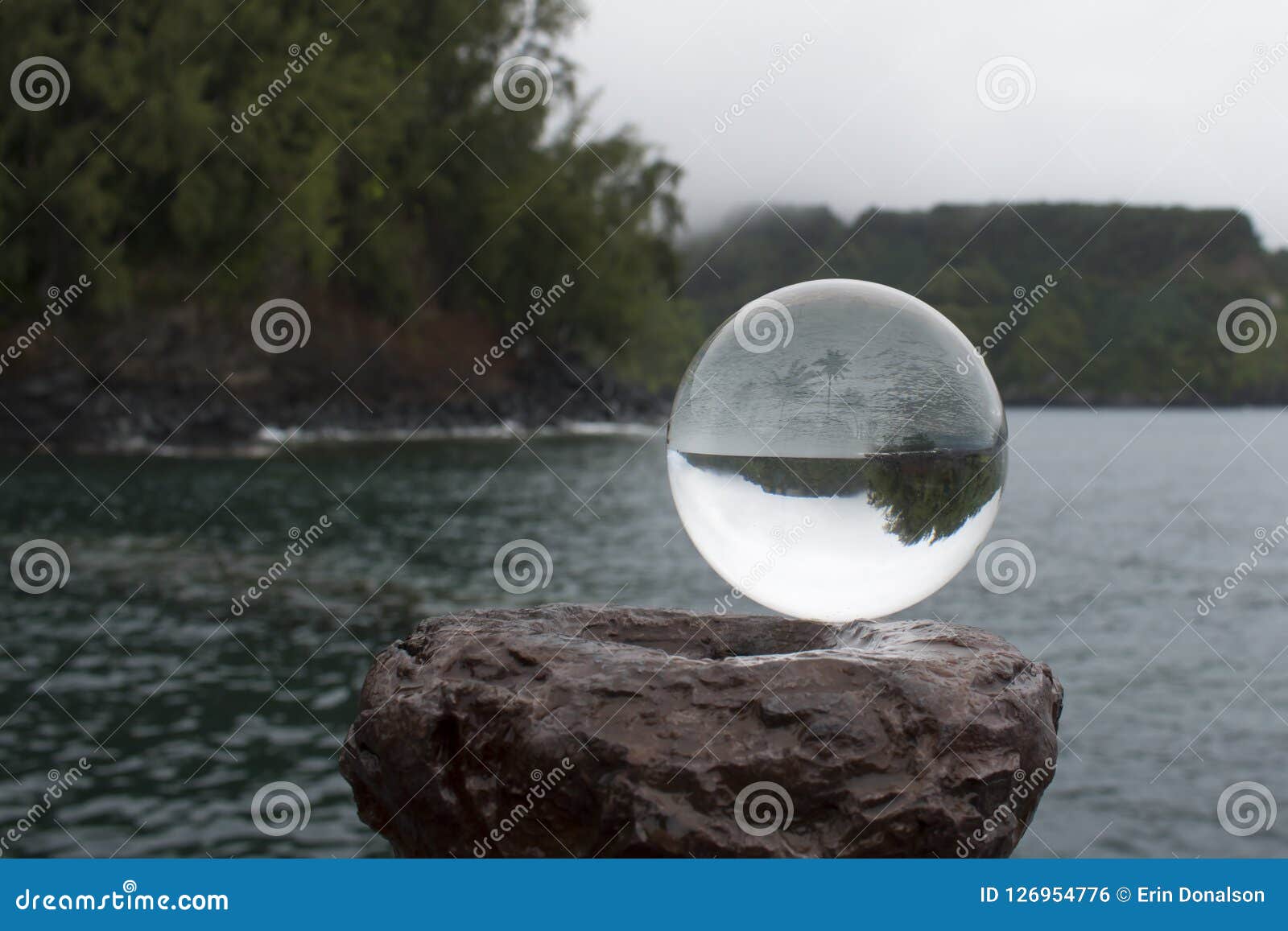 Coastal Seascape Captured in Glass Ball with Palm Trees in Reflection ...