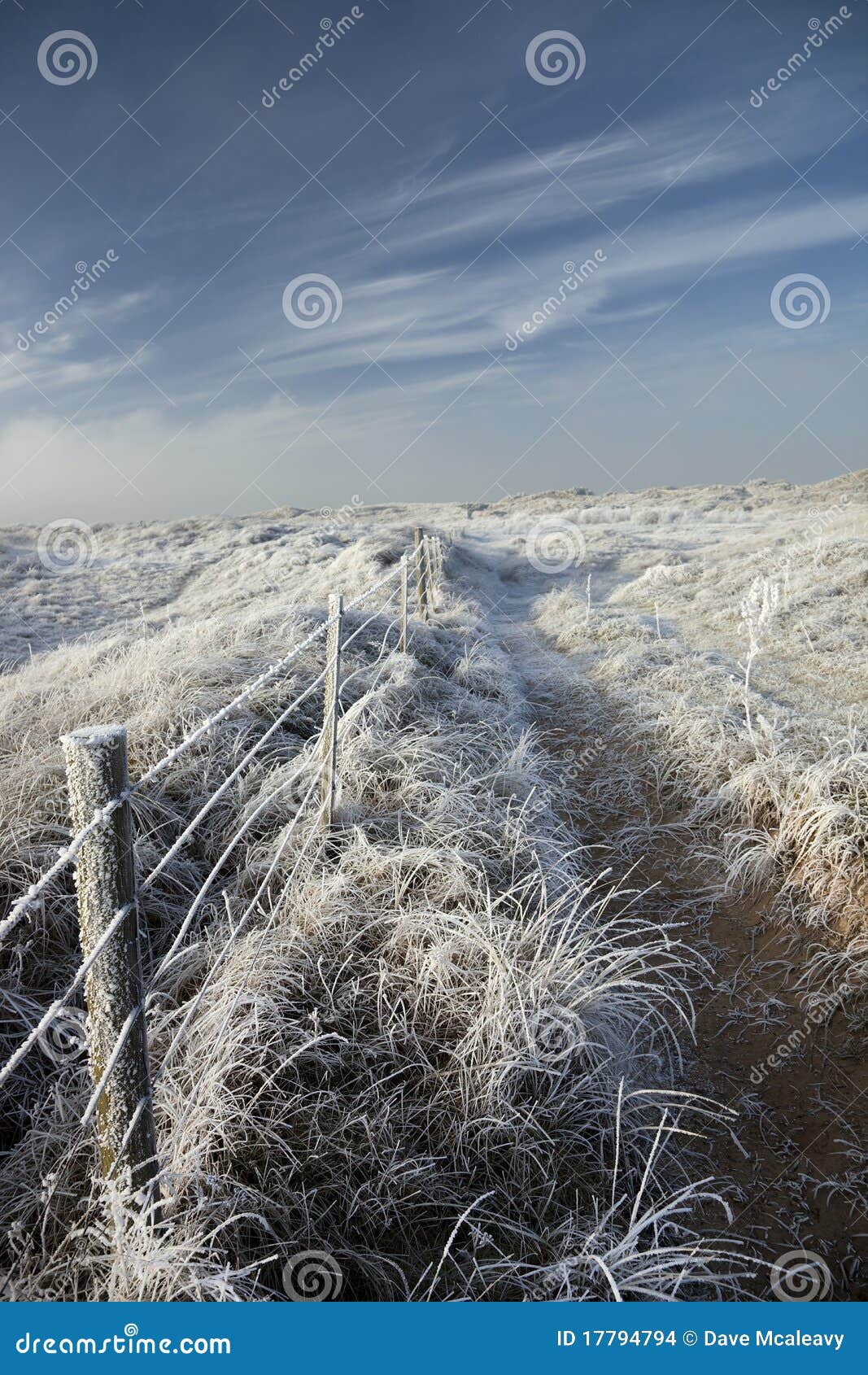 Coastal snow scene stock photo. Image of coast, cloud - 17794794