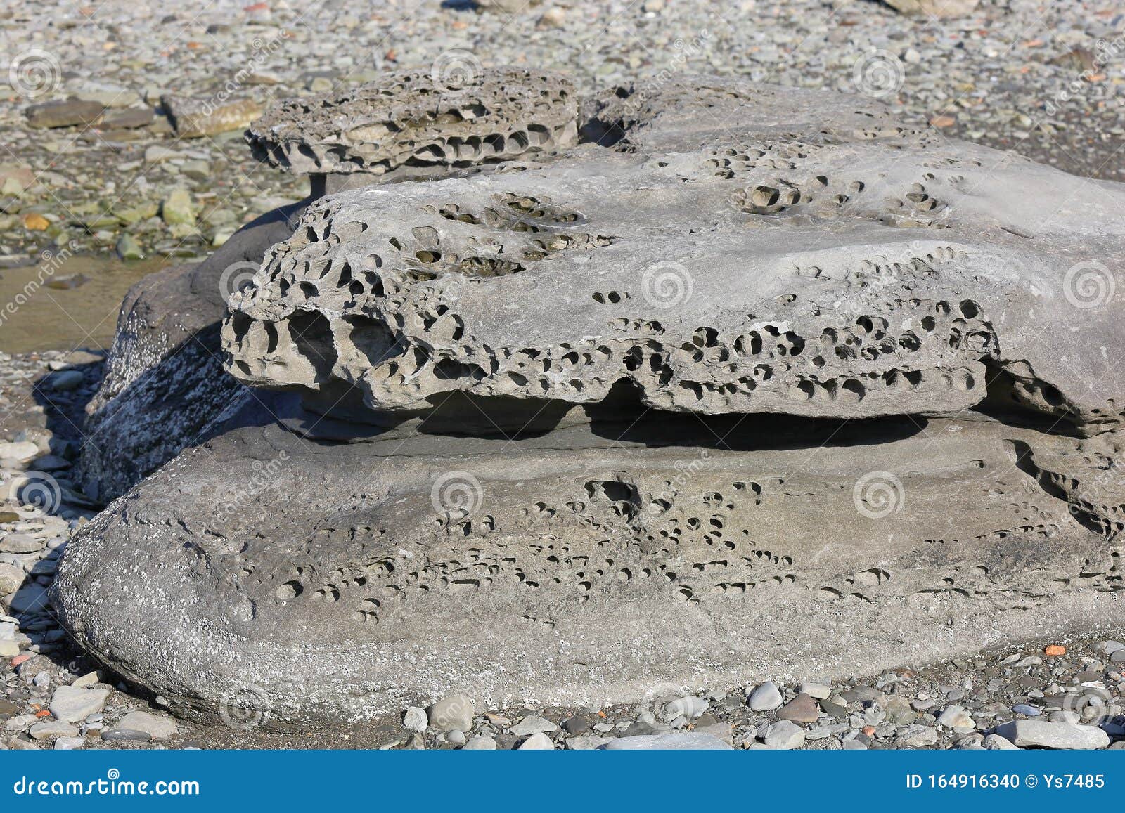 Coastal Stone with Cellular Structure. Interesting and Unusual ...