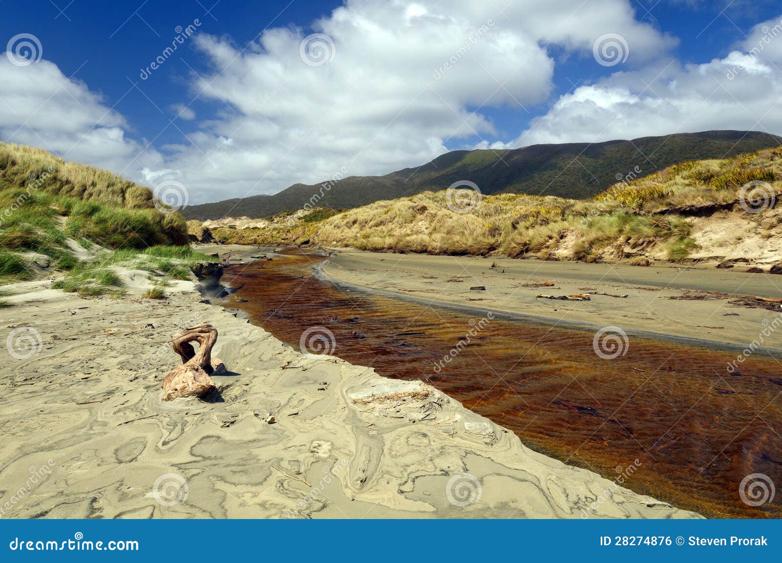Coastal Stream through a Sandy Beach Stock Photo - Image of pretty ...