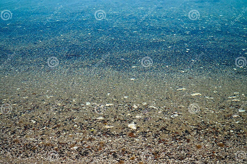 Coastal Strip of the Sea with Shells. Stock Image - Image of closeup ...