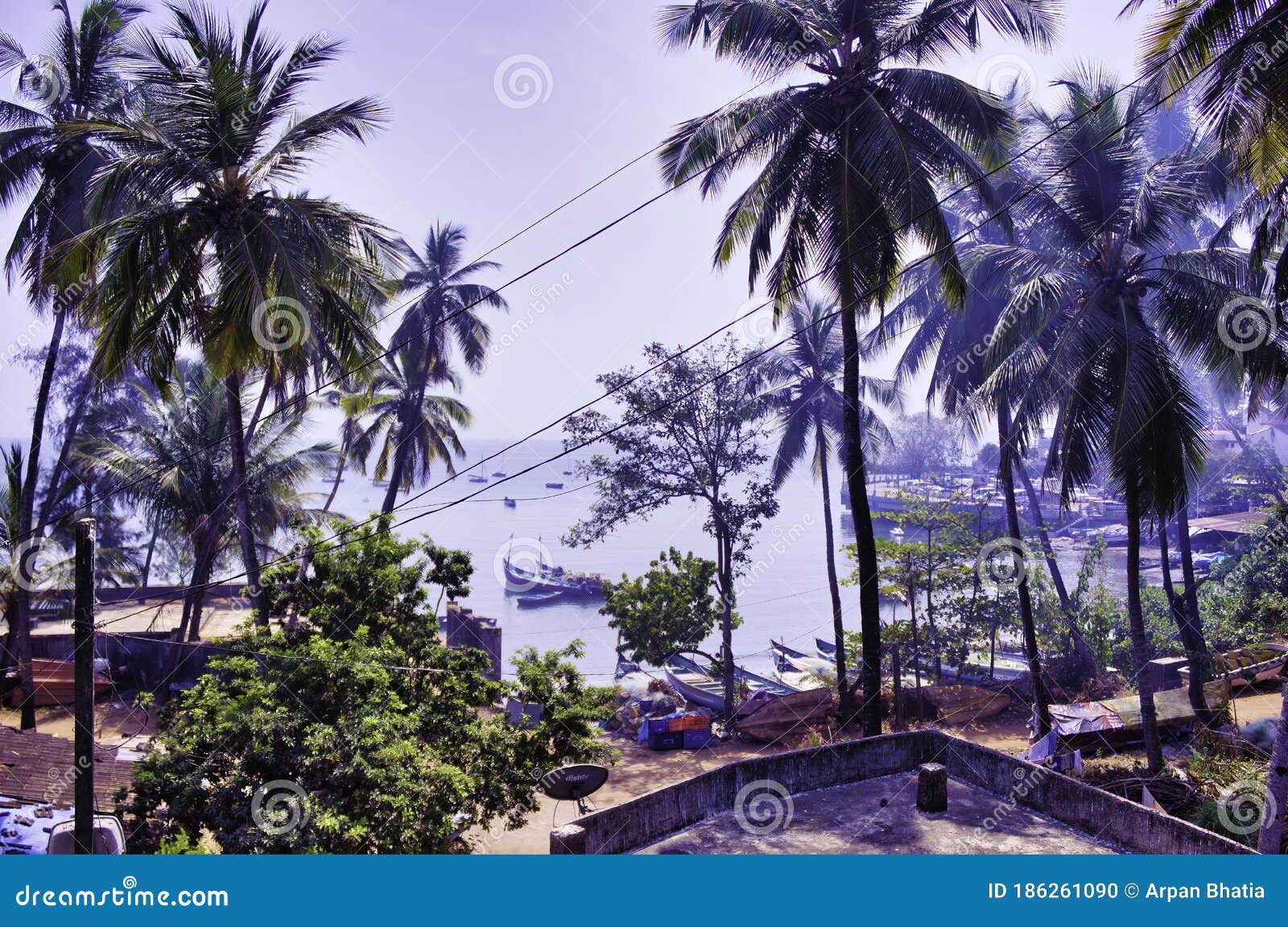 Coastal View of Goa Beach Against a Blue Sky Stock Photo - Image of ...