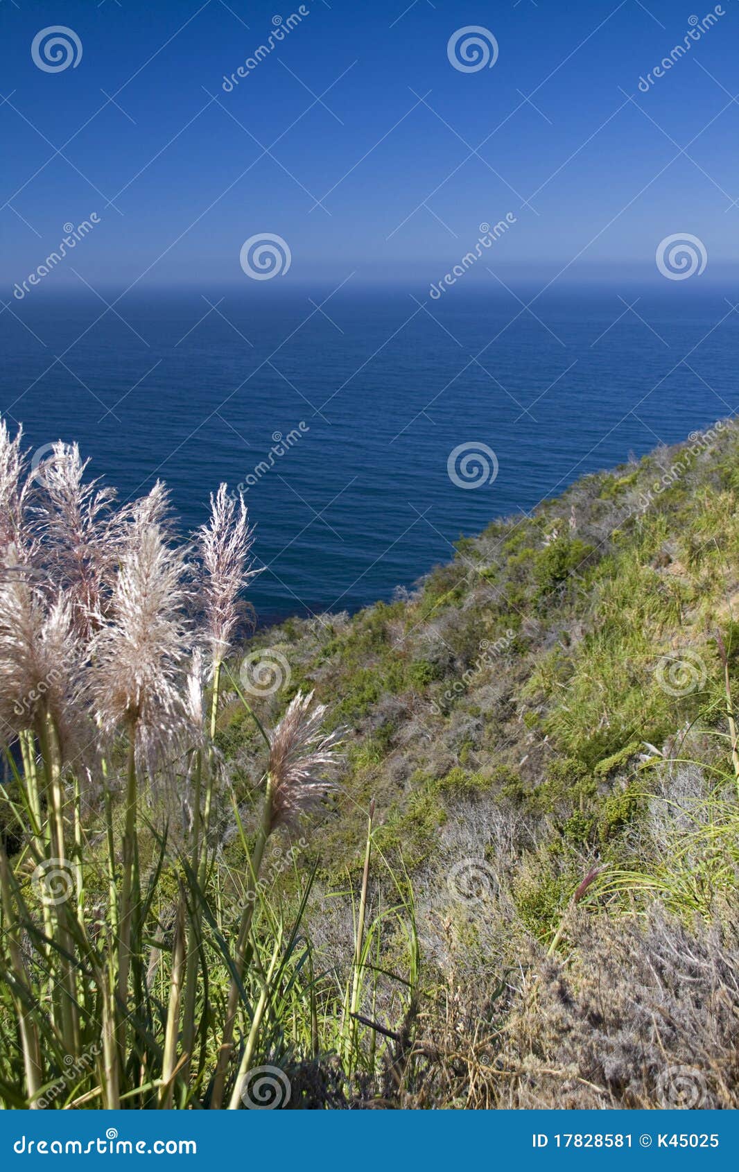 Coastal View, Pacific Coast of California Stock Image - Image of ...