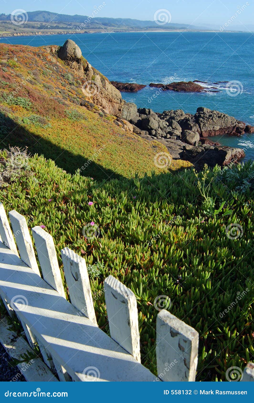Coastal Views stock photo. Image of shore, springtime, flowers - 558132