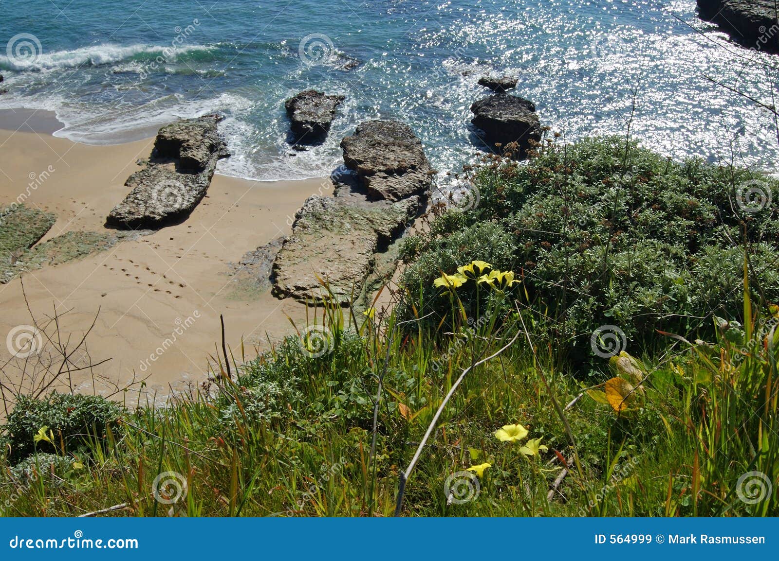 Coastal Views stock image. Image of water, seashore, shoreline - 564999