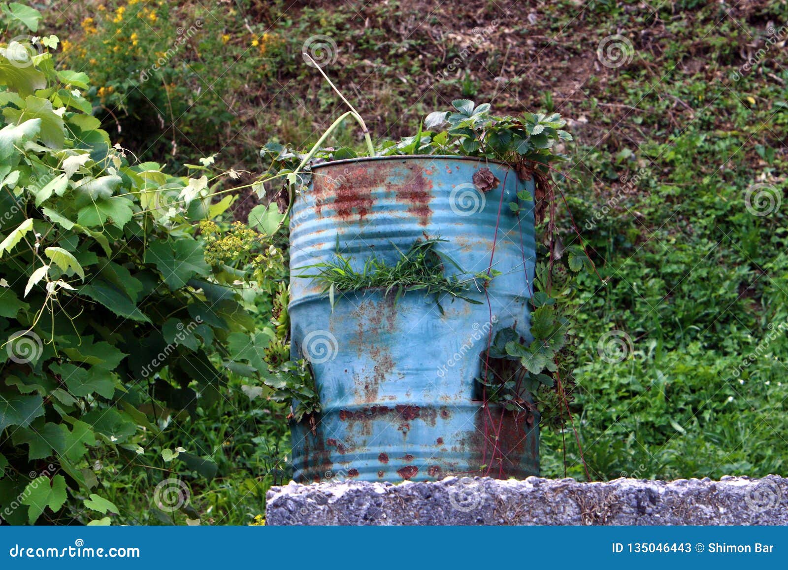 Coasters and flower pots stock image. Image of walk - 135046443