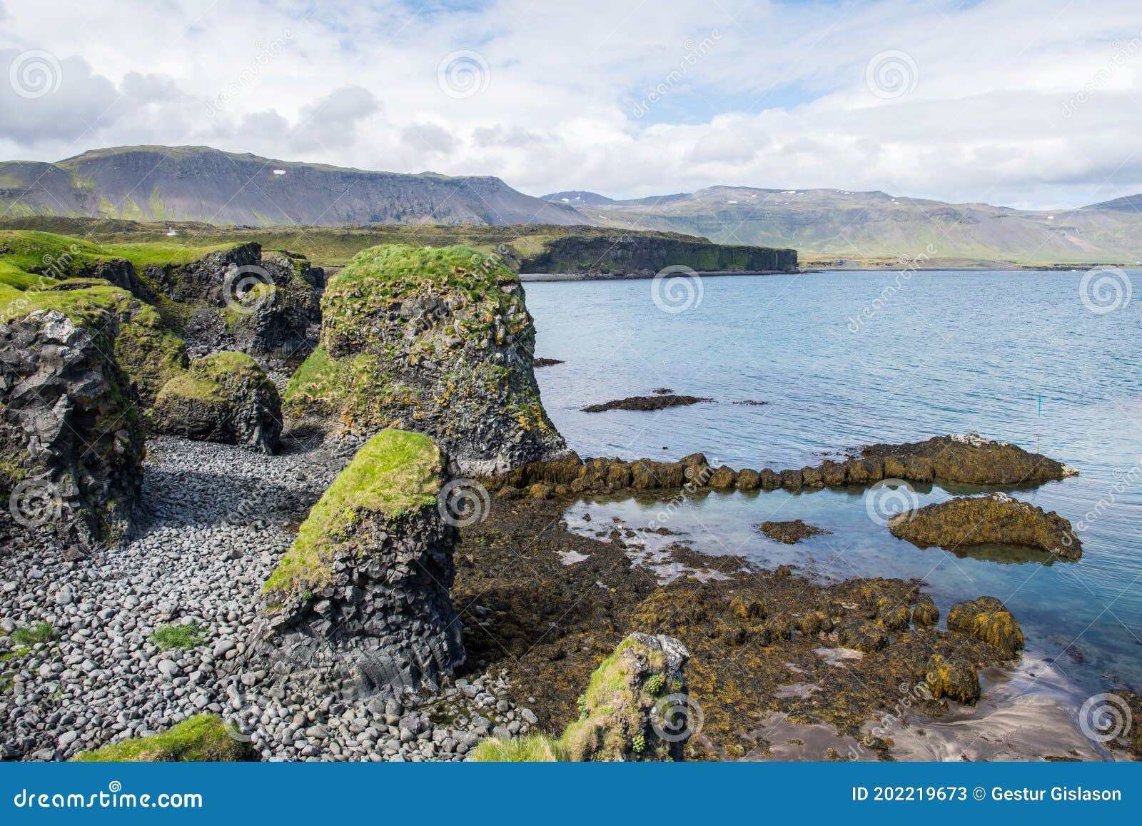 Coastline of Arnarstapi in Snaefellsnes Peninsula in Iceland Stock ...