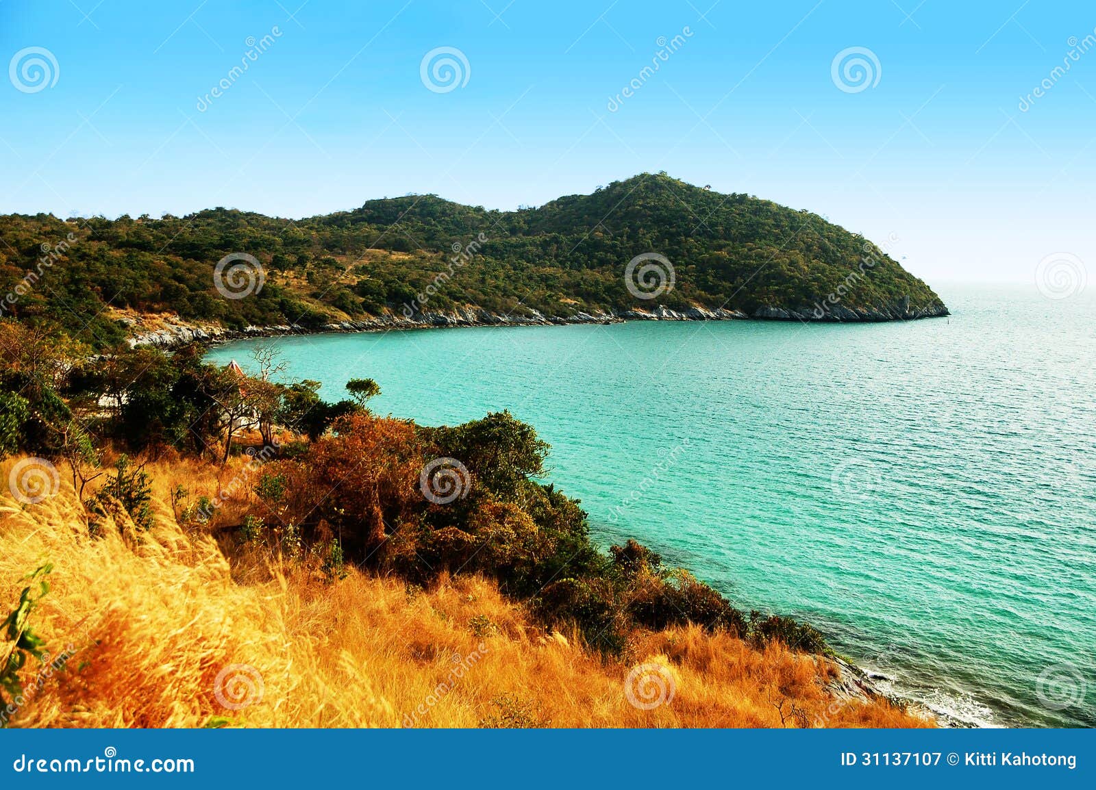 Coastline Koh Larn stock image. Image of landmark, dead - 31137107