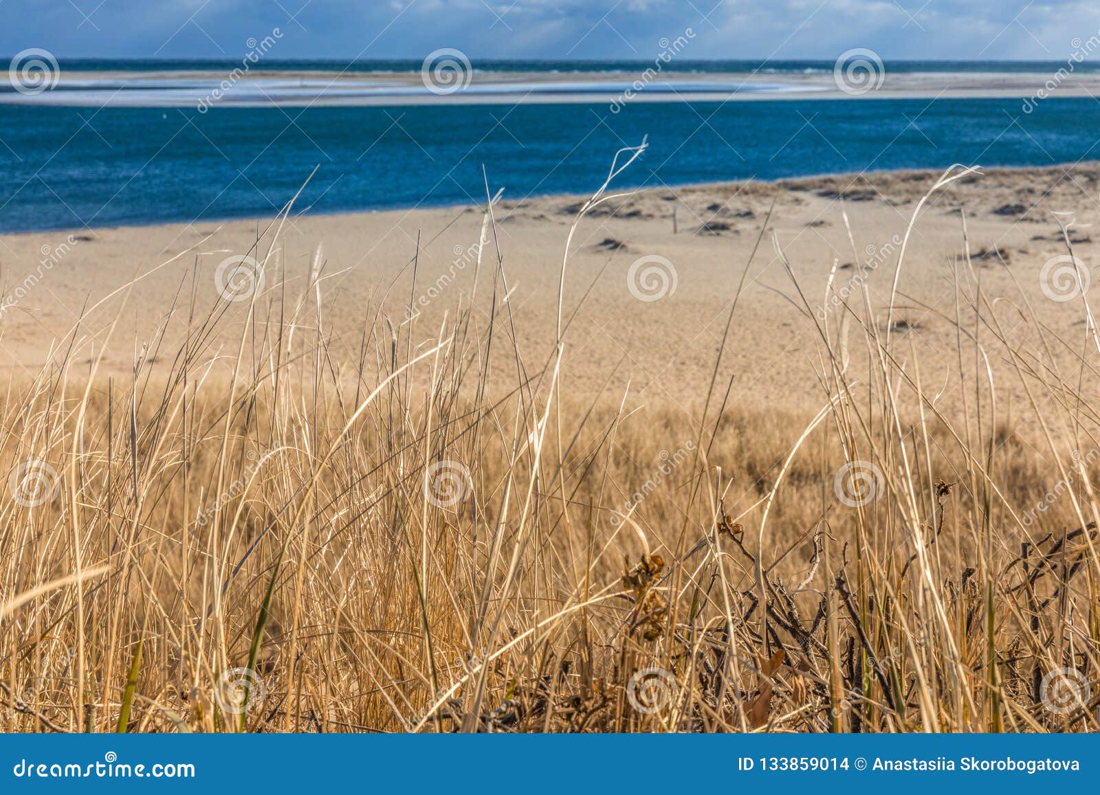 Coastline with Sandy Beach at Cape Cod in Winter Stock Photo - Image of ...