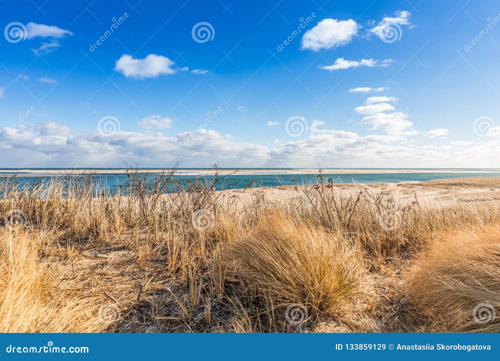 Coastline with Sandy Beach at Cape Cod in Winter Stock Image - Image of ...