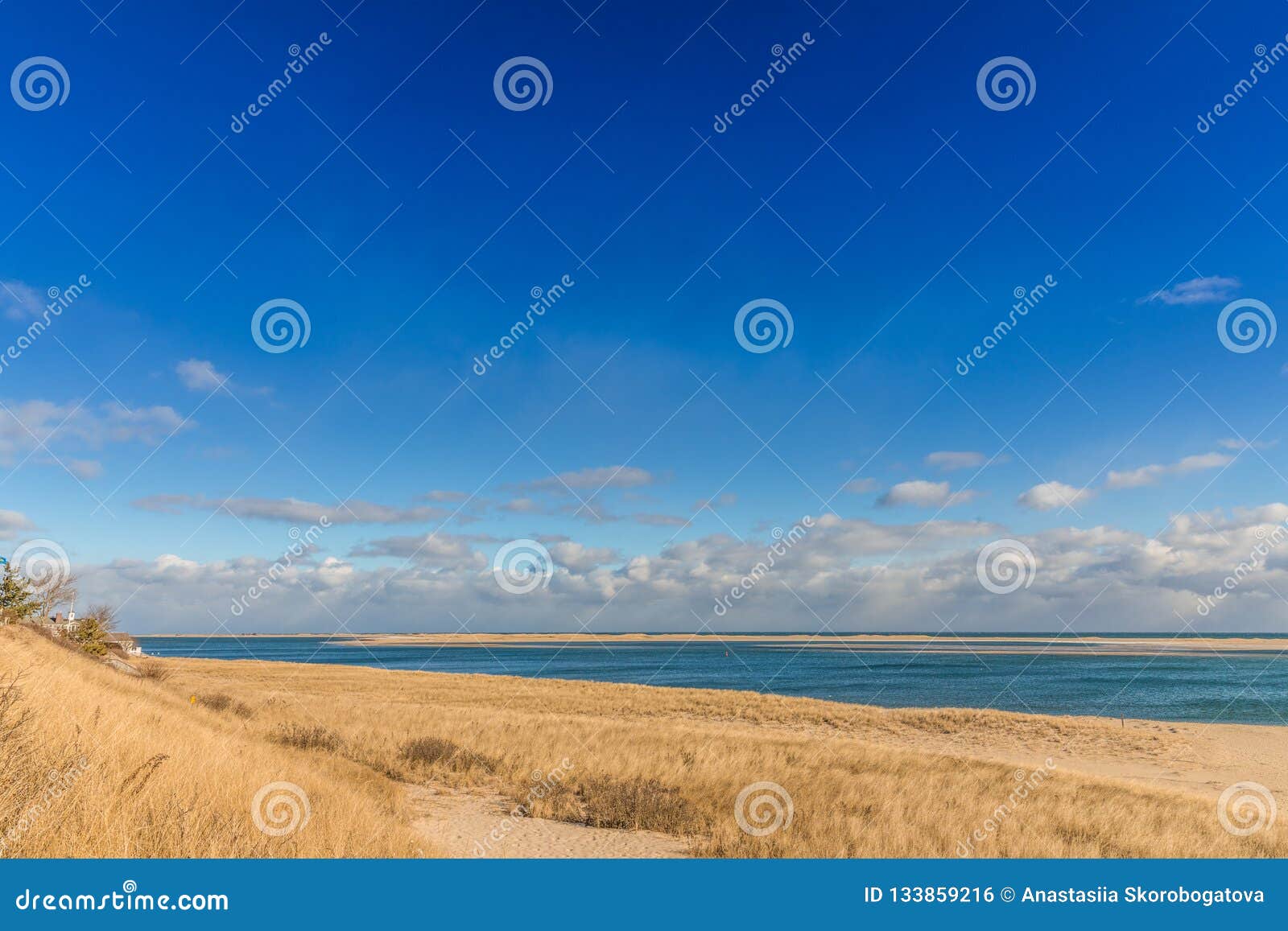 Coastline with Sandy Beach at Cape Cod in Winter Stock Photo - Image of ...