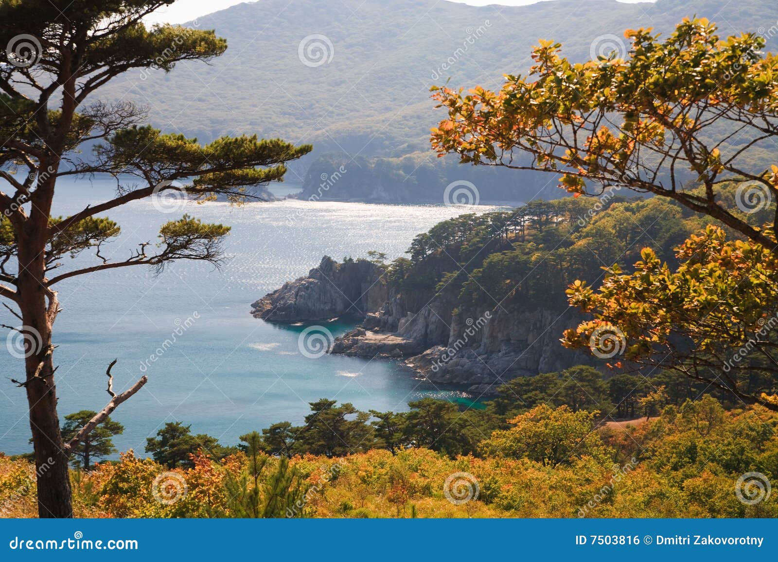 Coastline trees 6 stock photo. Image of seascape, coastline - 7503816