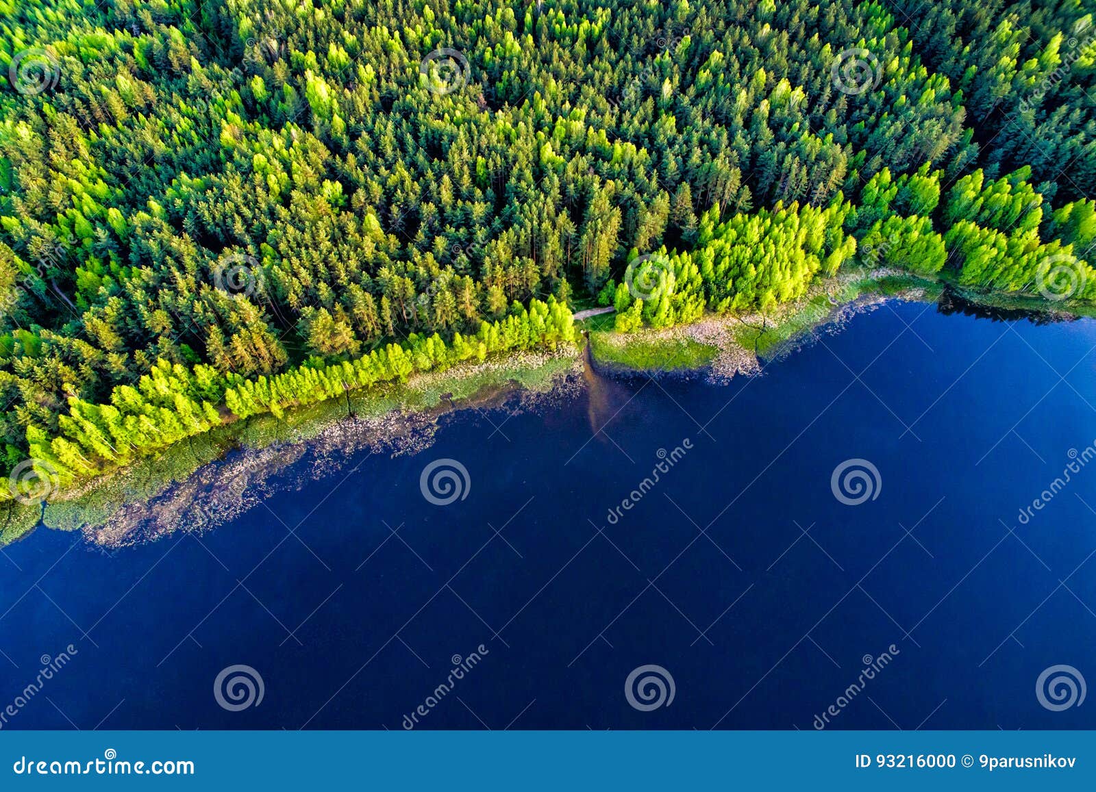 Coastline View from the Drone, Forest on the Coast Stock Photo - Image ...