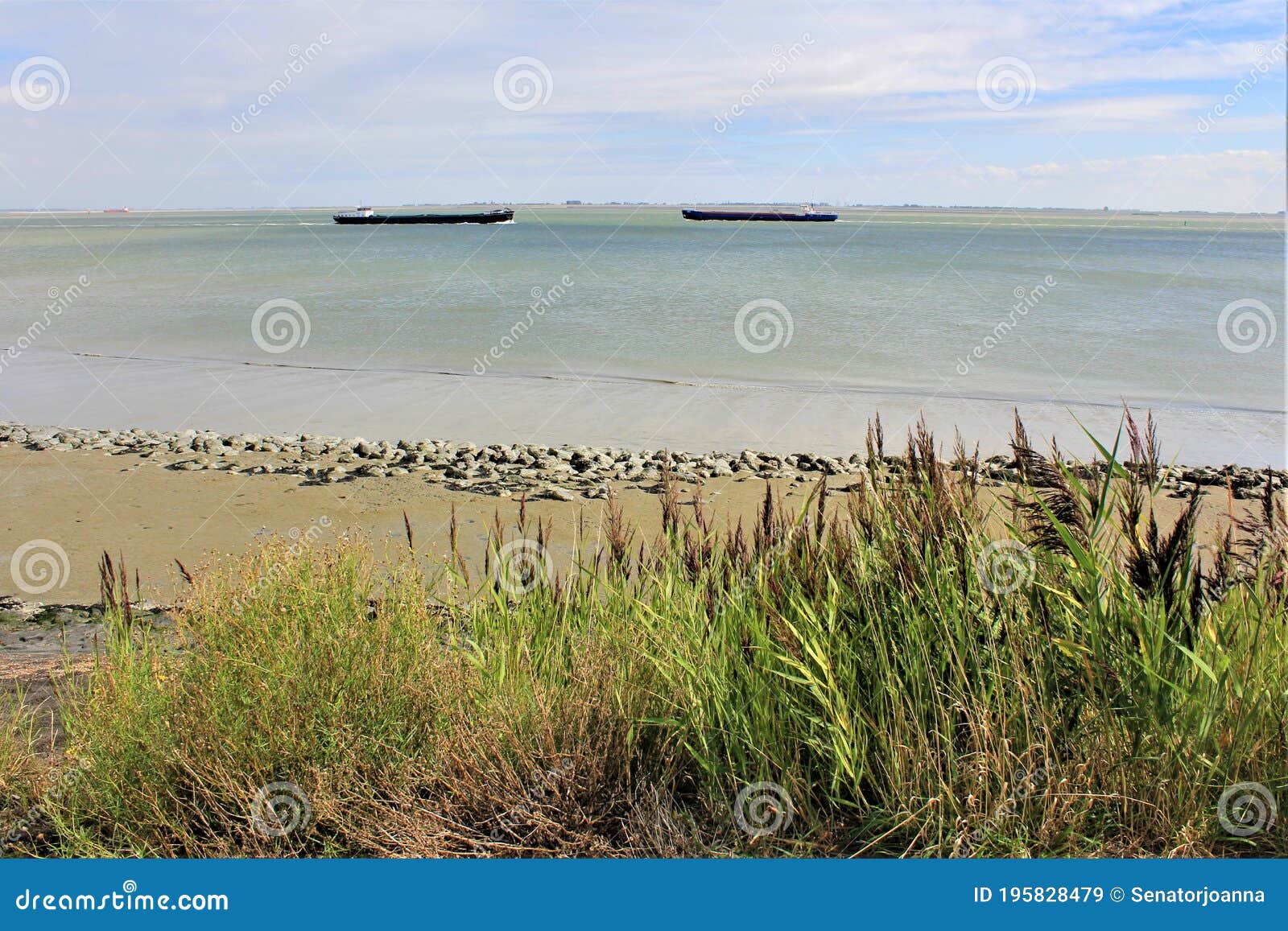 A Coastline in Zeeland, in the Netherlands Stock Image - Image of ...