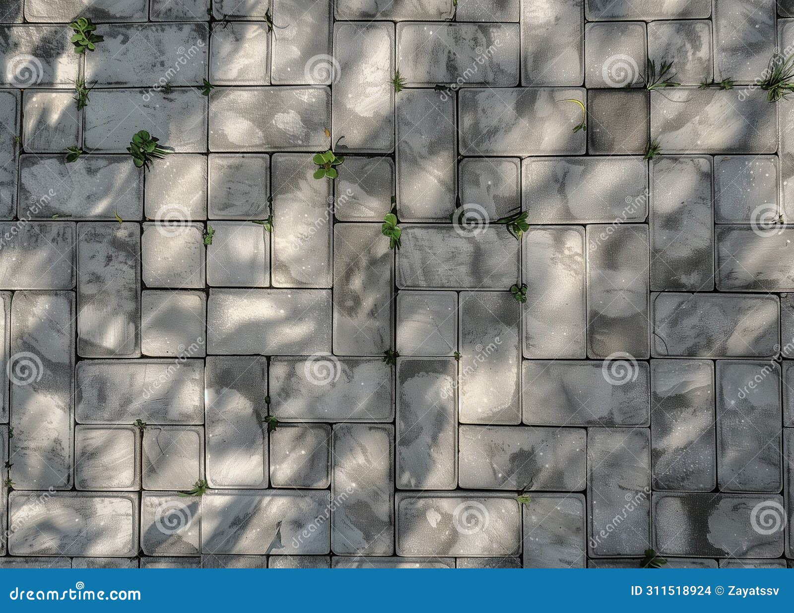 Coating with Modern Textured Paving Tiles of Square Shape. Stock Photo ...