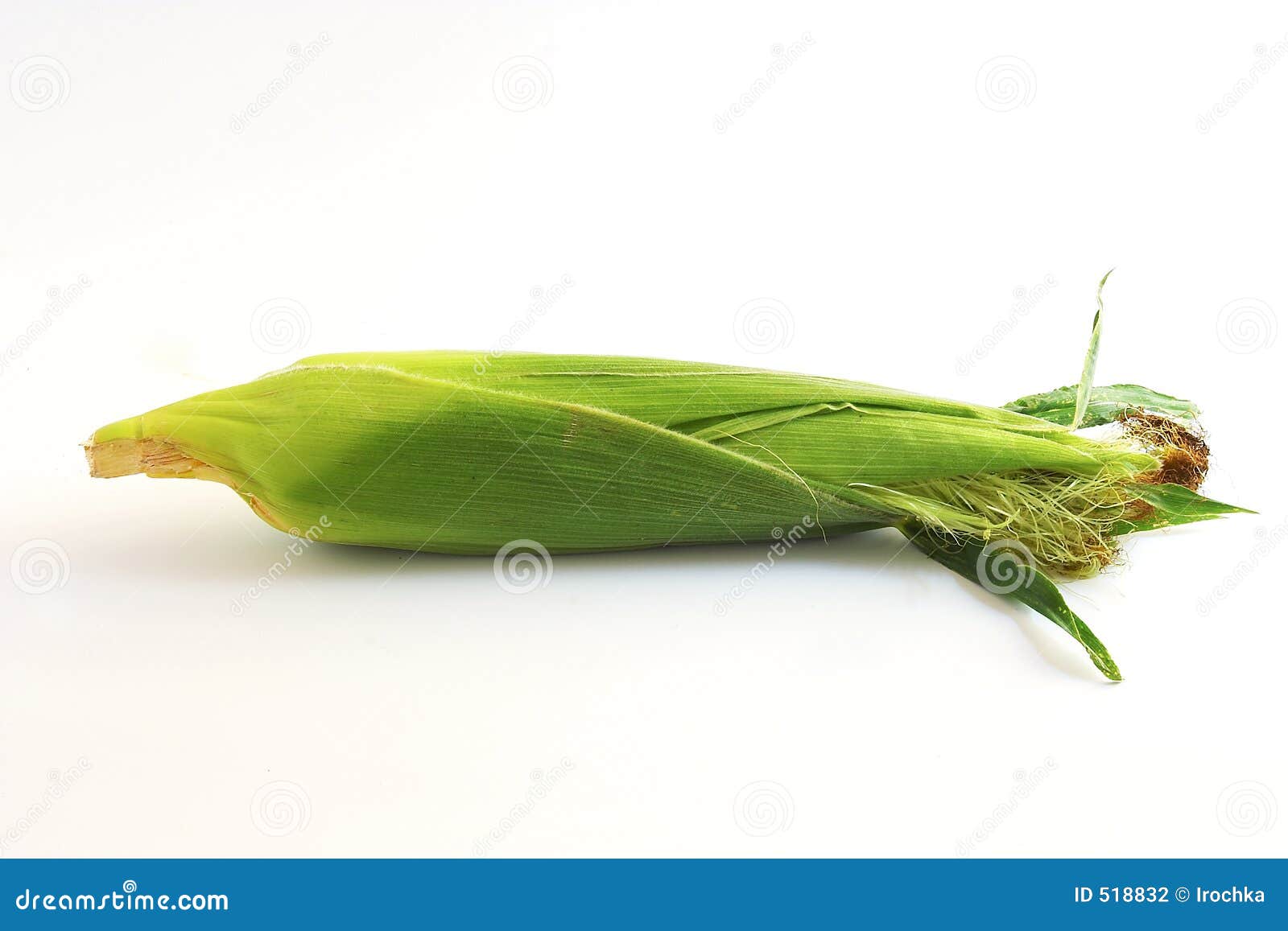 Cob stock photo. Image of close, objects, crop, color, shot - 518832
