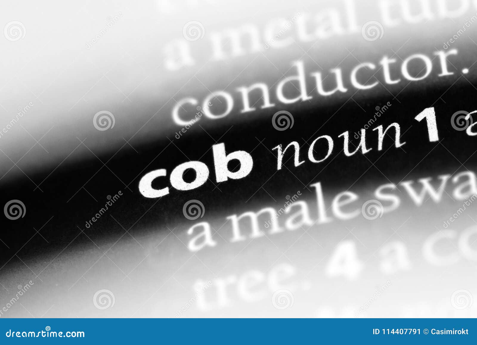 Cob stock image. Image of macro, paper, concept, dictionary - 114407791