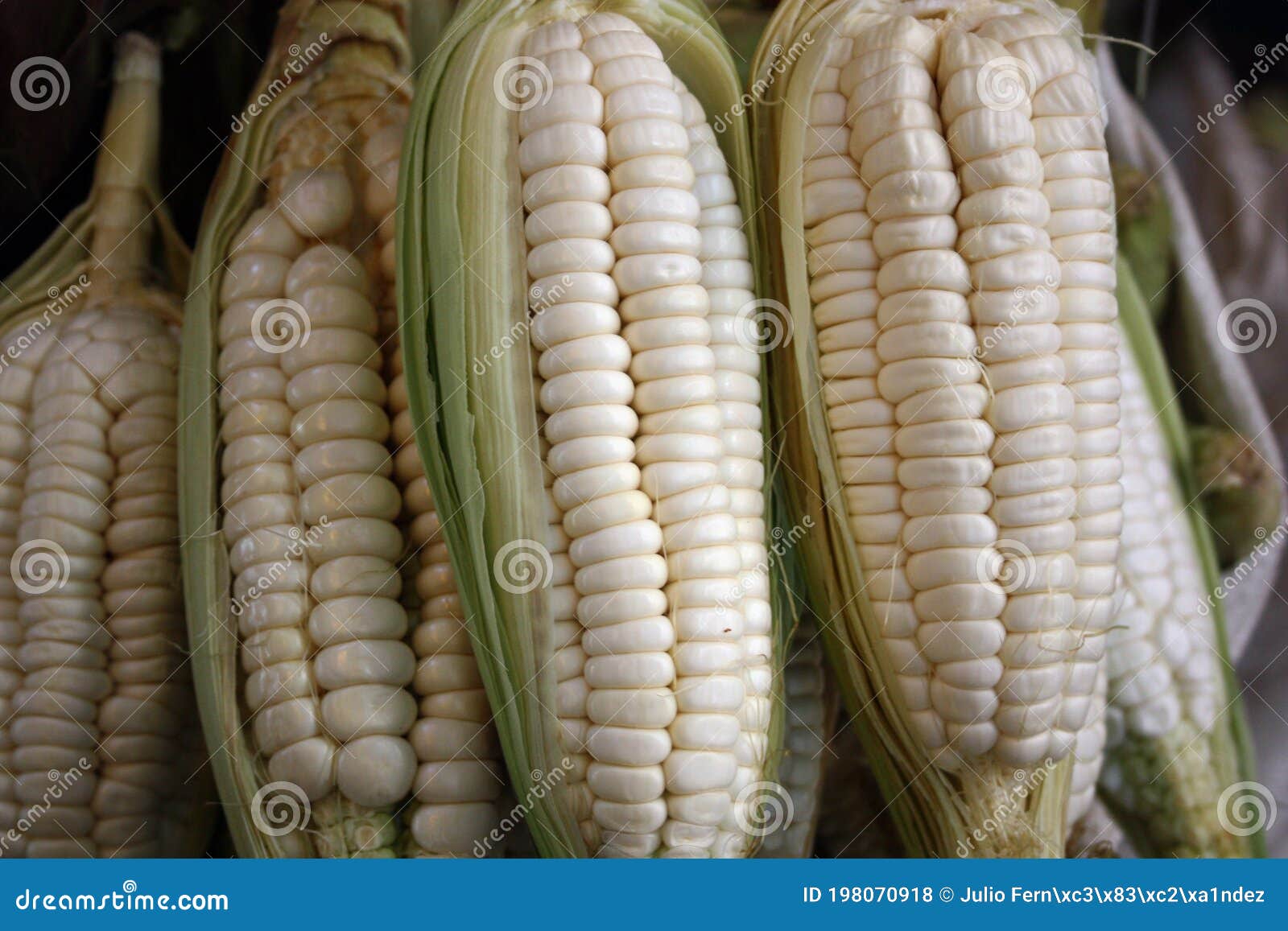 Cob corn choclo in Peru stock photo. Image of home, peru - 198070918