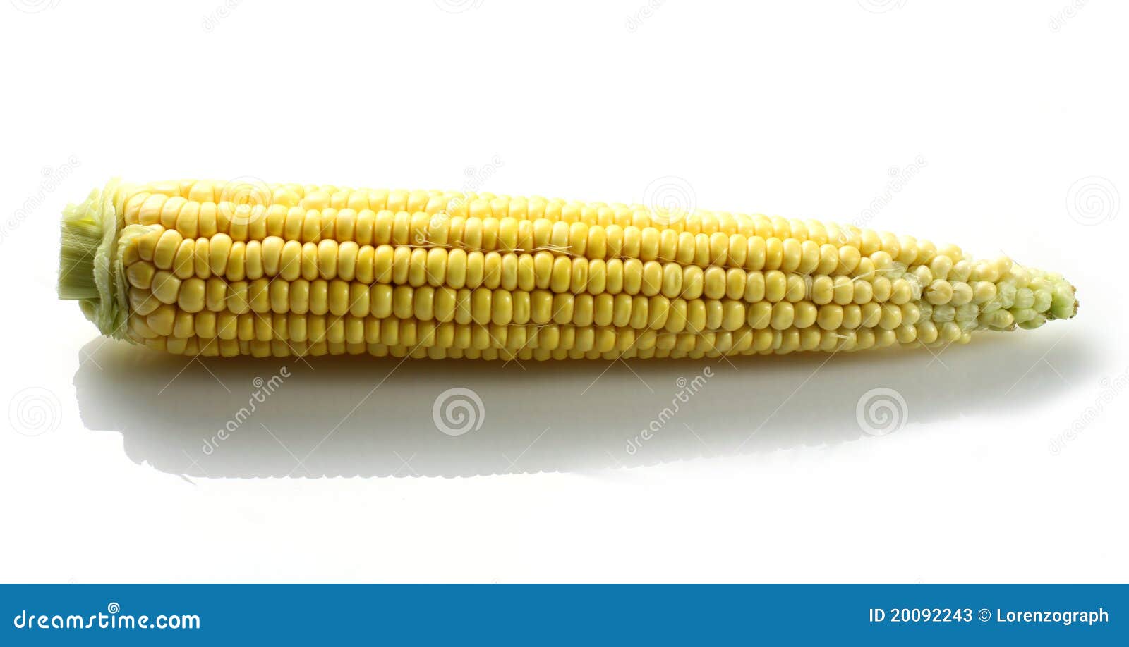 Cob isolated stock image. Image of grain, colorful, background - 20092243