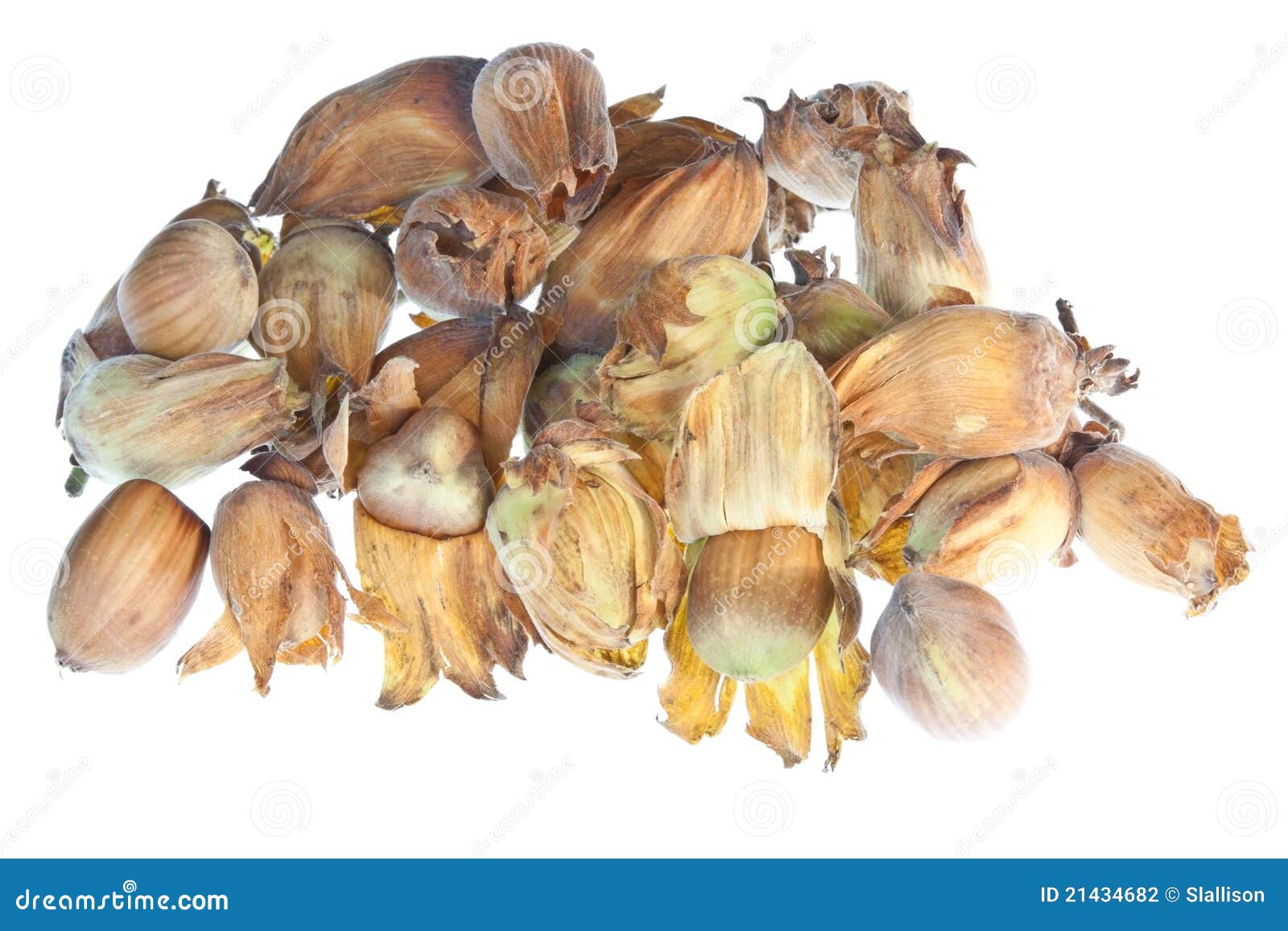 Cob Nut Bundle stock photo. Image of nutrition, healthy - 21434682