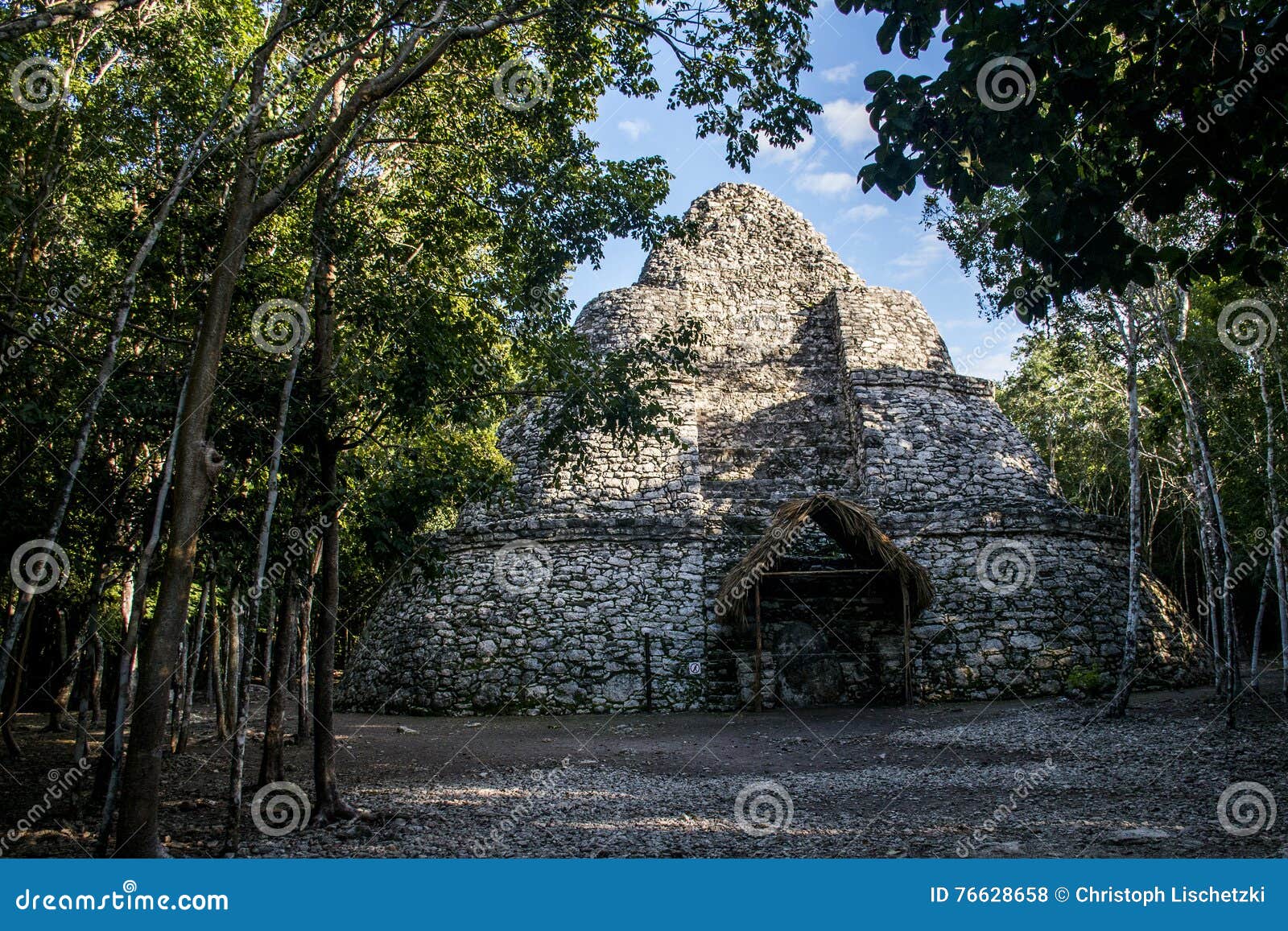 Coba Maya Ruins in Mexico Yucatan Inside the Jungle Stock Photo - Image ...