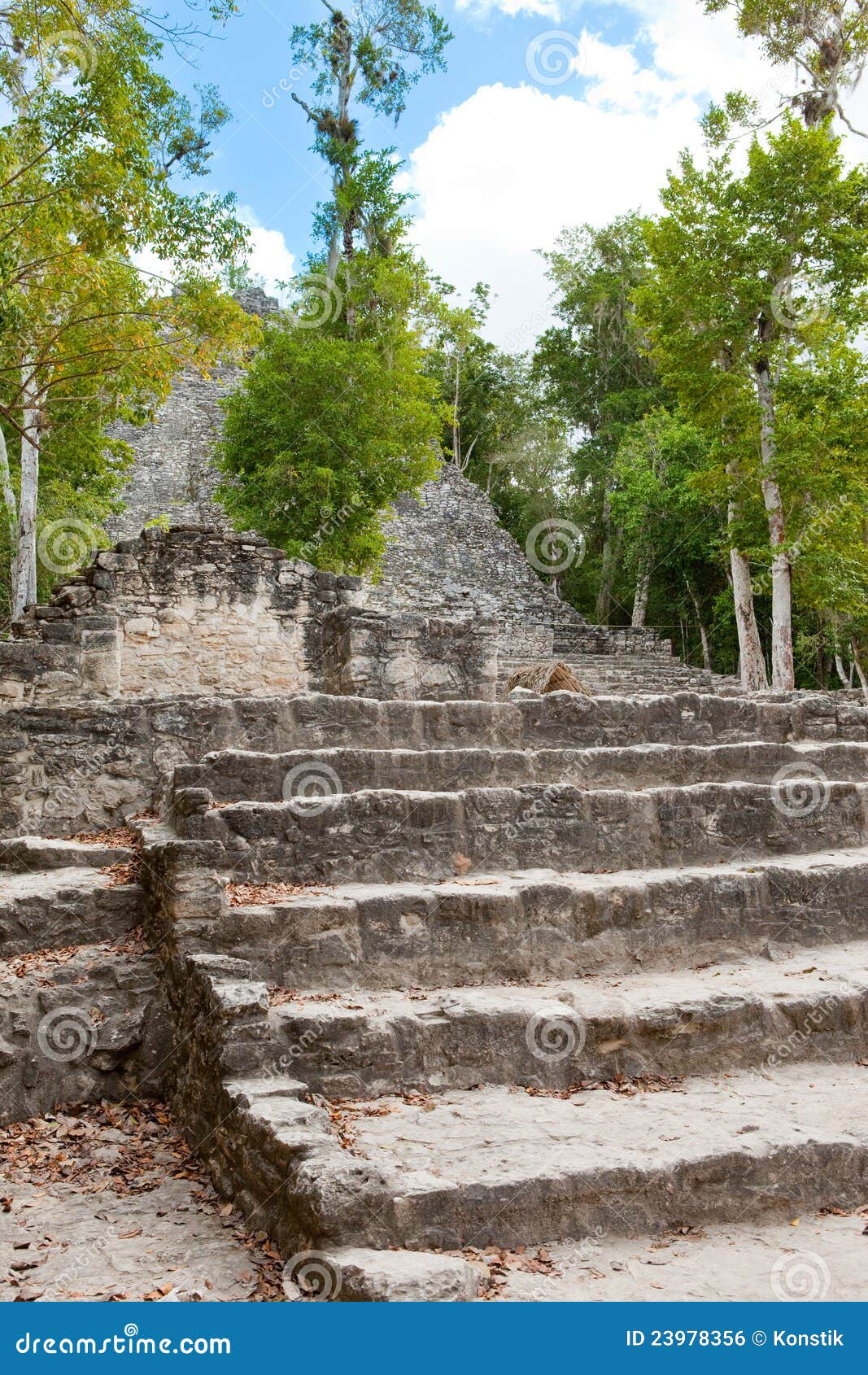 Coba Mayan Ruins in Mexico stock photo. Image of site - 23978356