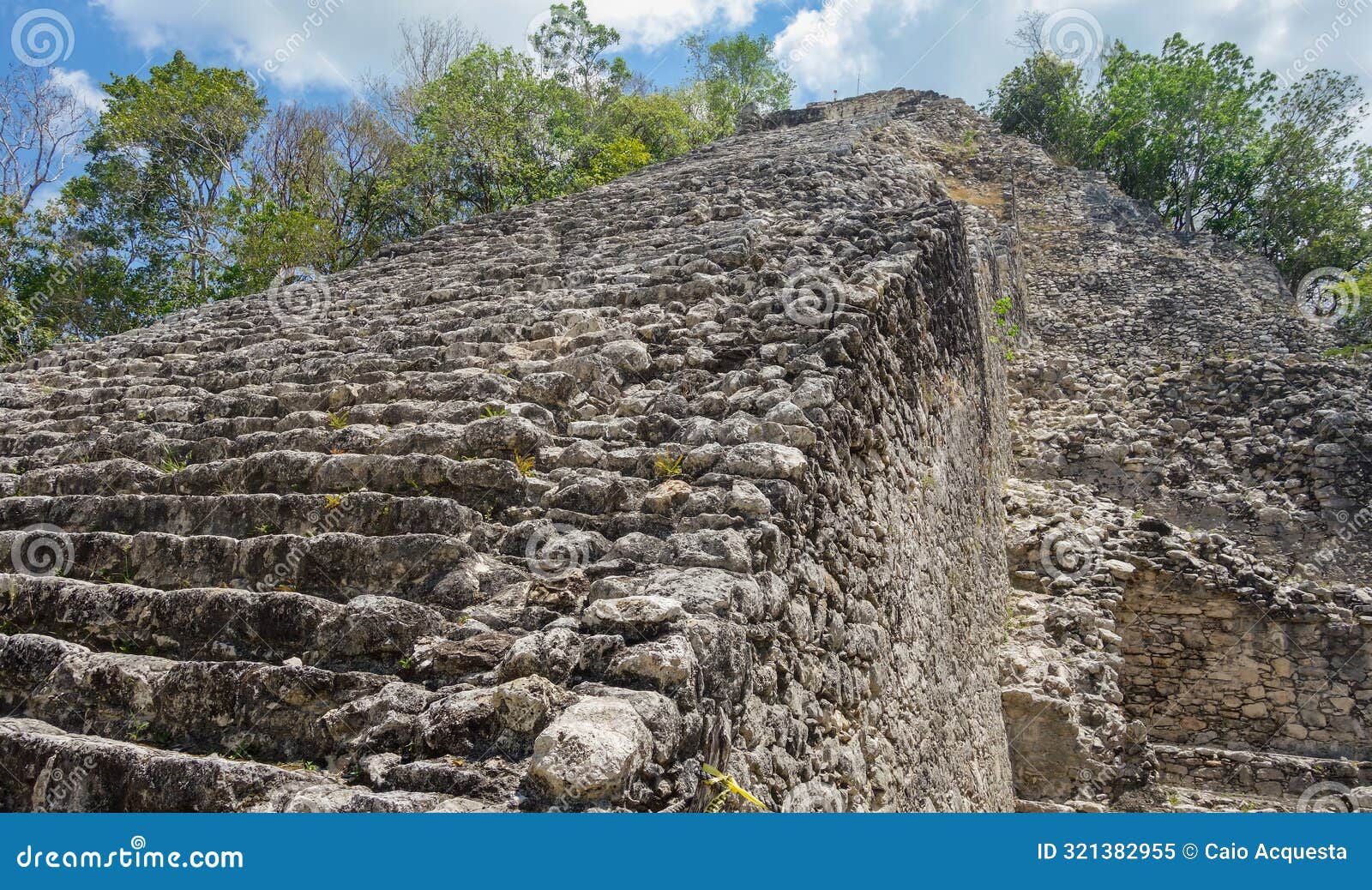 Coba Ruins Archaeological Site. Ancient Mayan Ruins in Mexico Stock ...