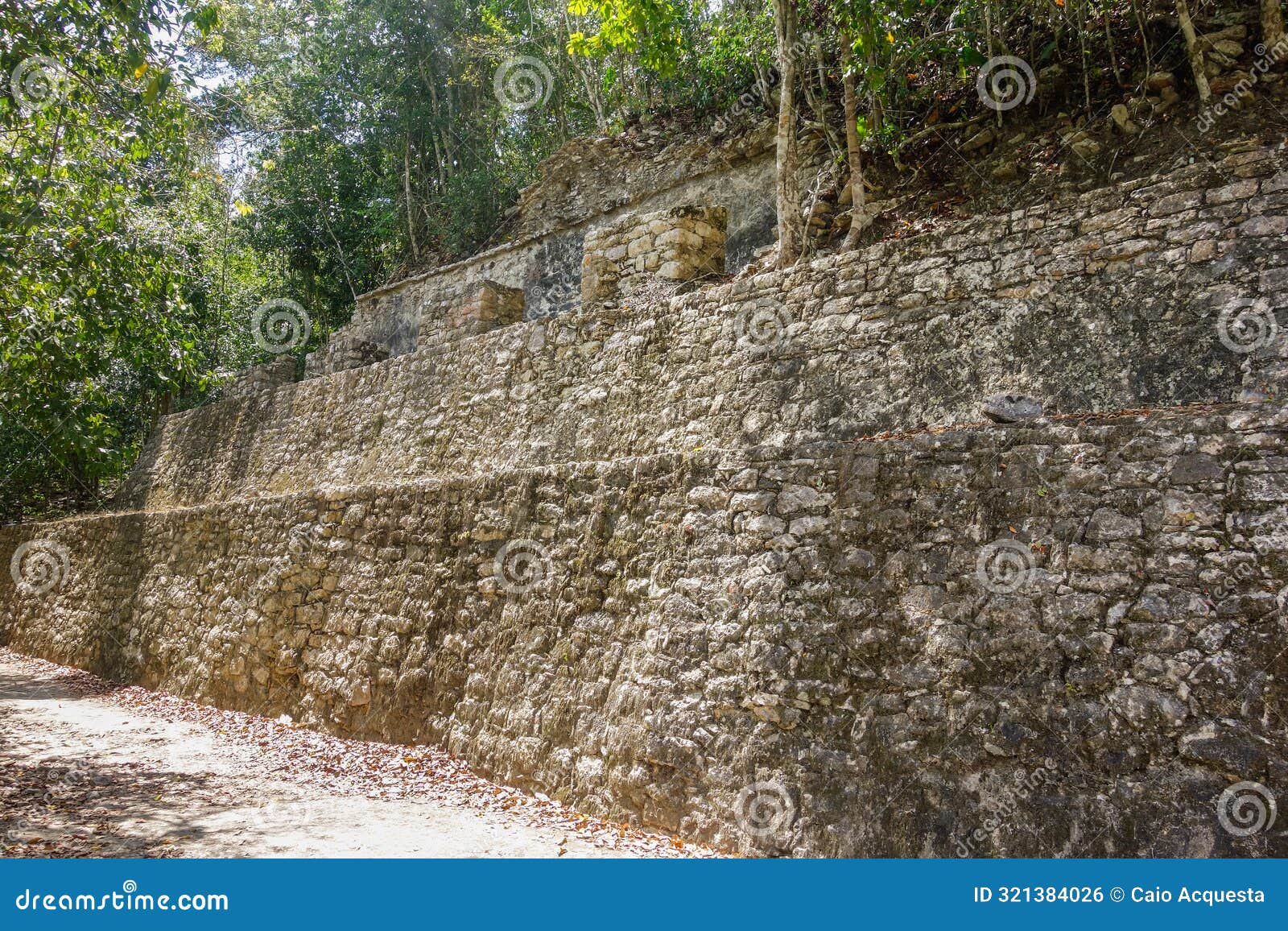 Coba Ruins Archaeological Site. Ancient Mayan Ruins in Mexico Stock ...