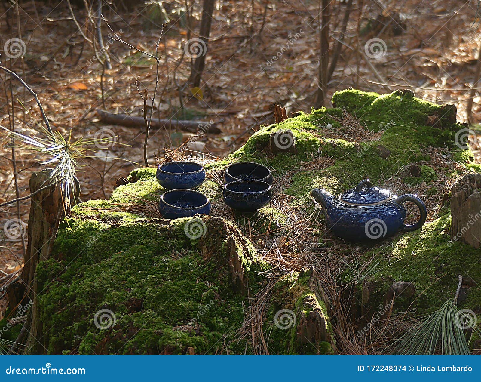 A Cobalt Blue Tea Set on a Moss Covered Tree Stump in the Forest Stock ...