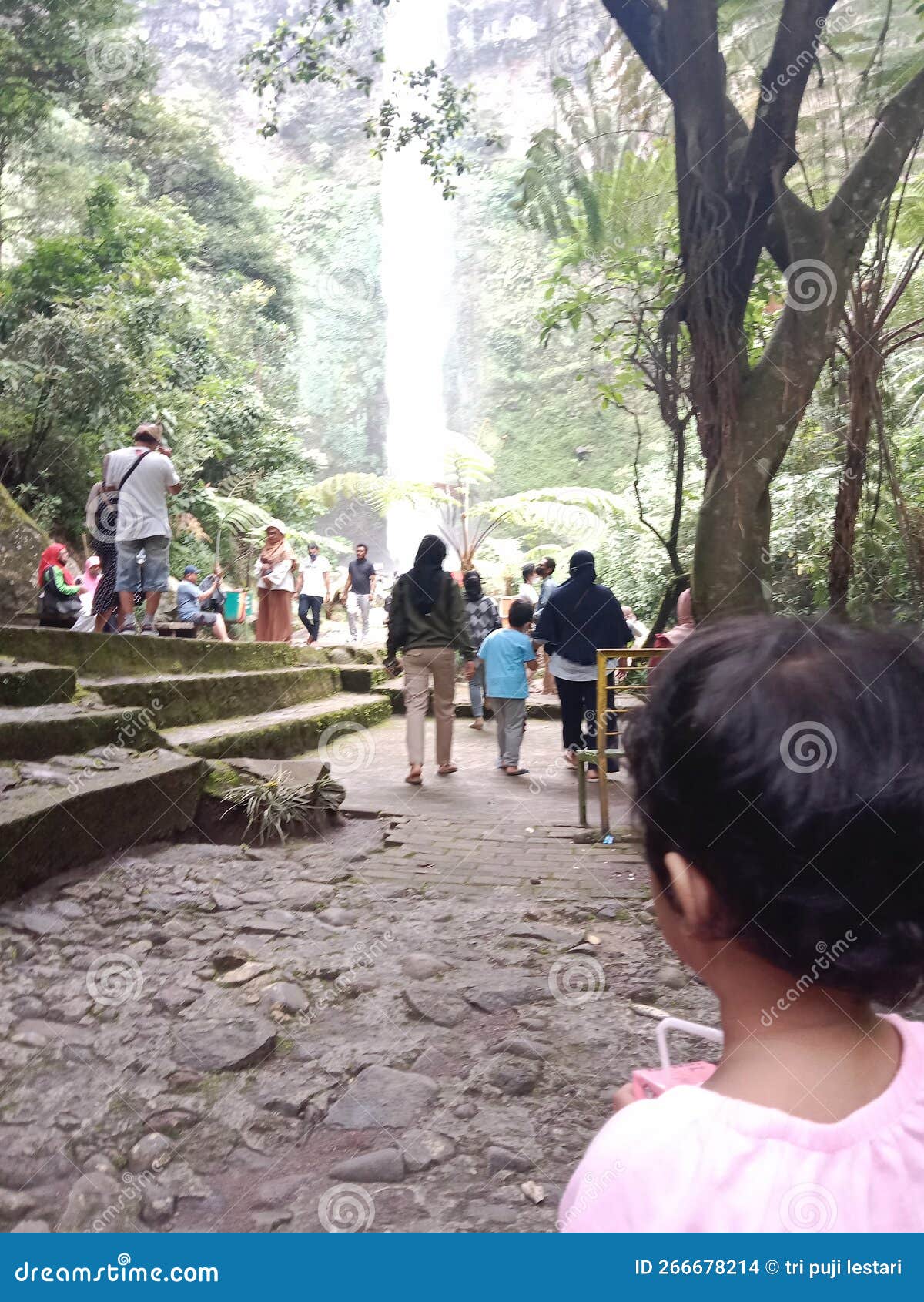 Coban rondo waterfall editorial stock image. Image of coban - 266678214