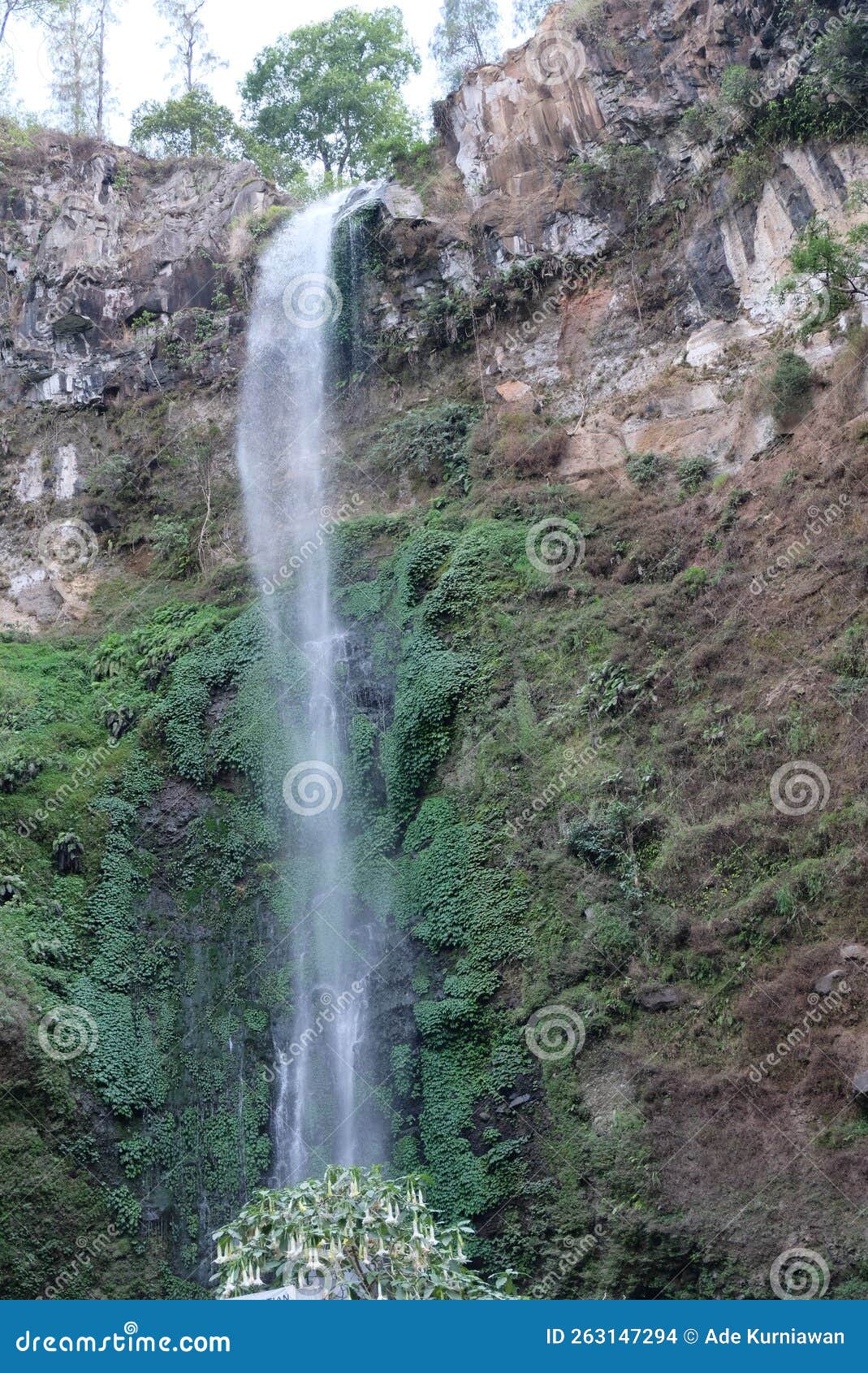 Coban Rondo waterfall stock photo. Image of flow, stream - 263147294
