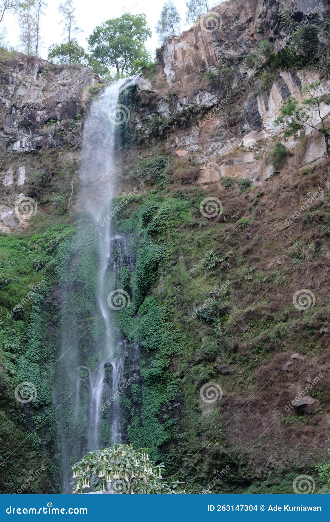 Coban Rondo waterfall stock photo. Image of plant, terrain - 263147304