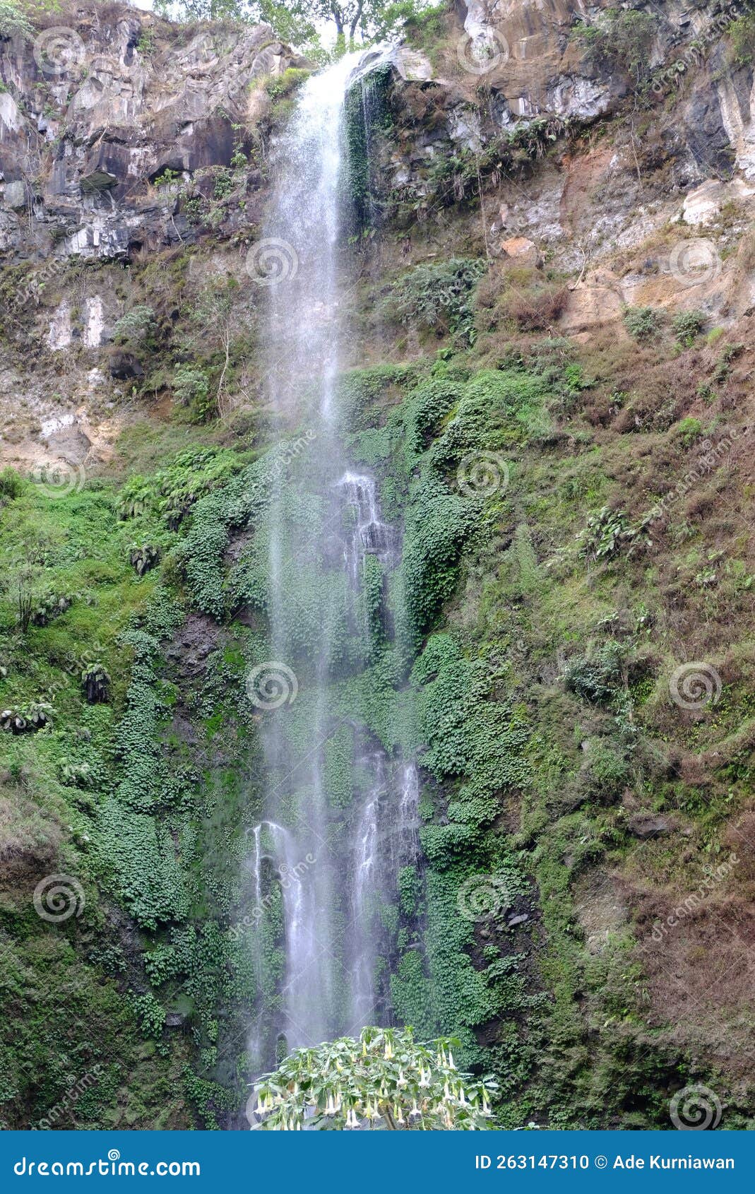 Coban Rondo waterfall stock photo. Image of clean, beautiful - 263147310