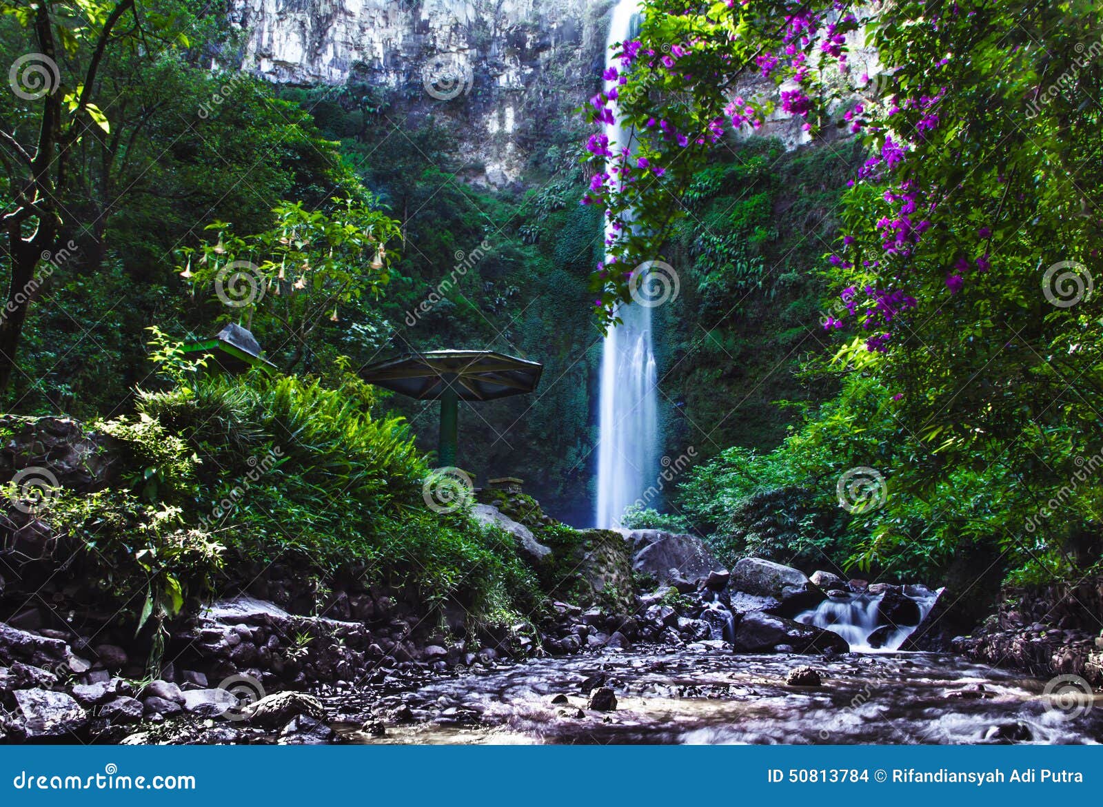 Coban Rondo waterfall stock photo. Image of water, waterfall - 50813784