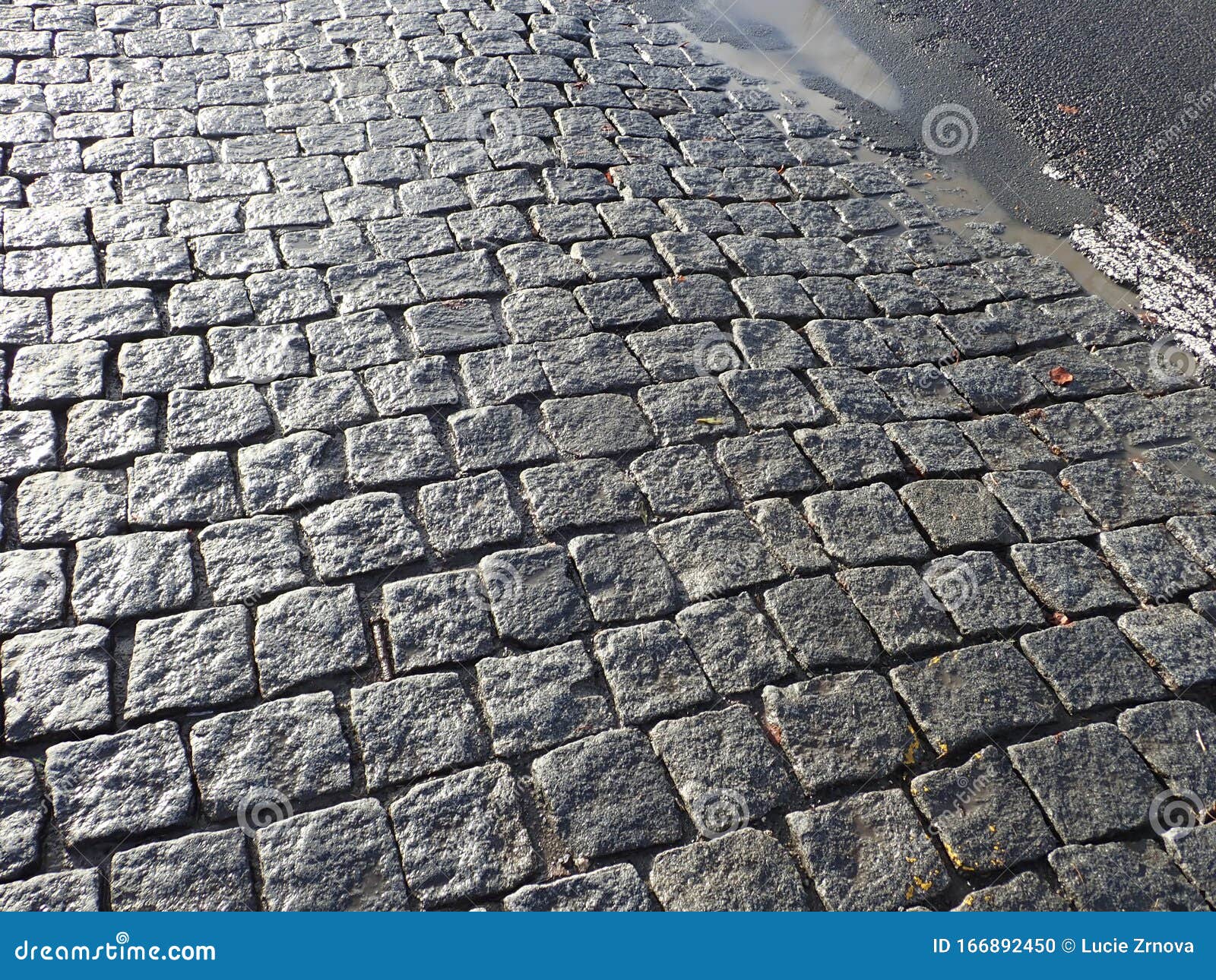 Cobble Pavement Texture Wet after Rain Stock Photo - Image of exterior ...