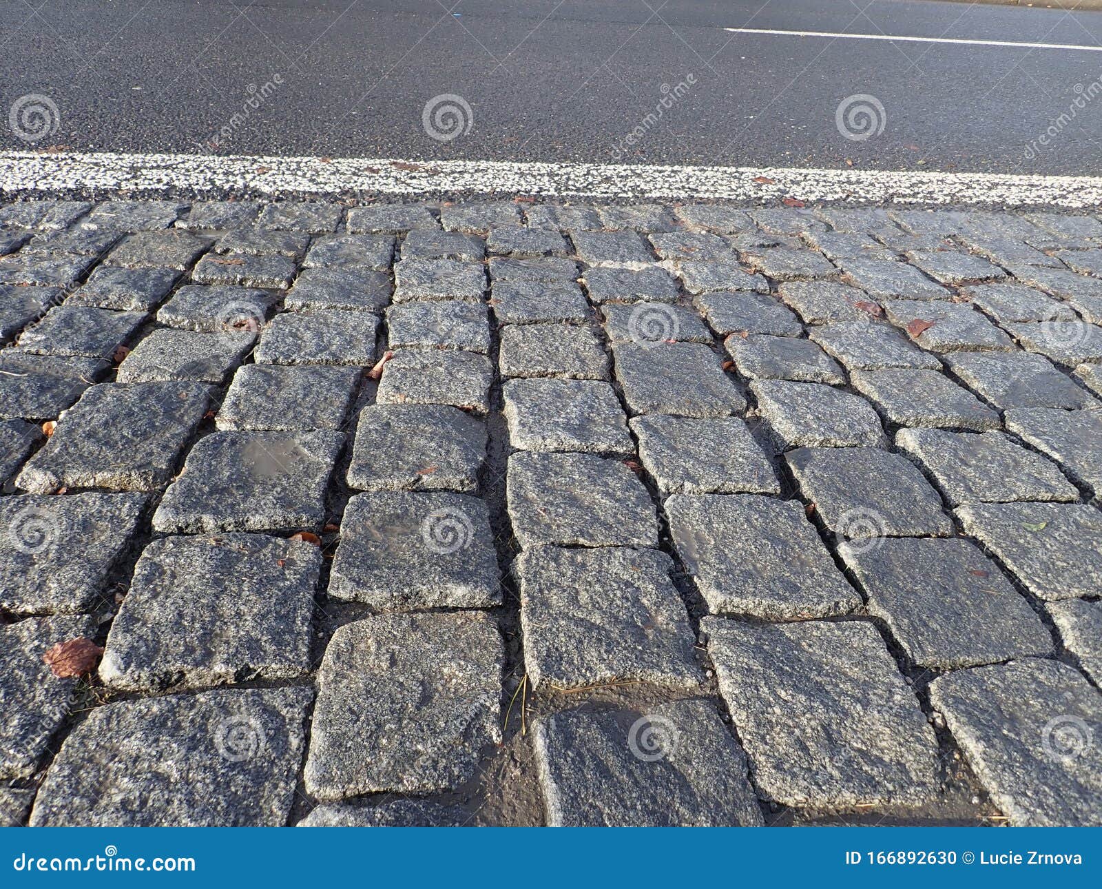 Cobble Pavement Texture Wet after Rain Stock Photo - Image of driveway ...