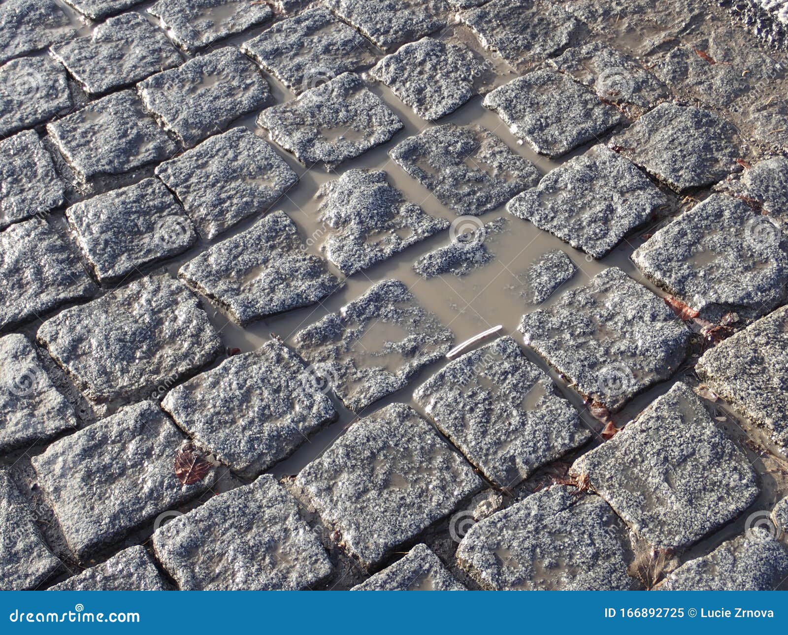 Cobble Pavement Texture Wet after Rain Stock Image - Image of ...