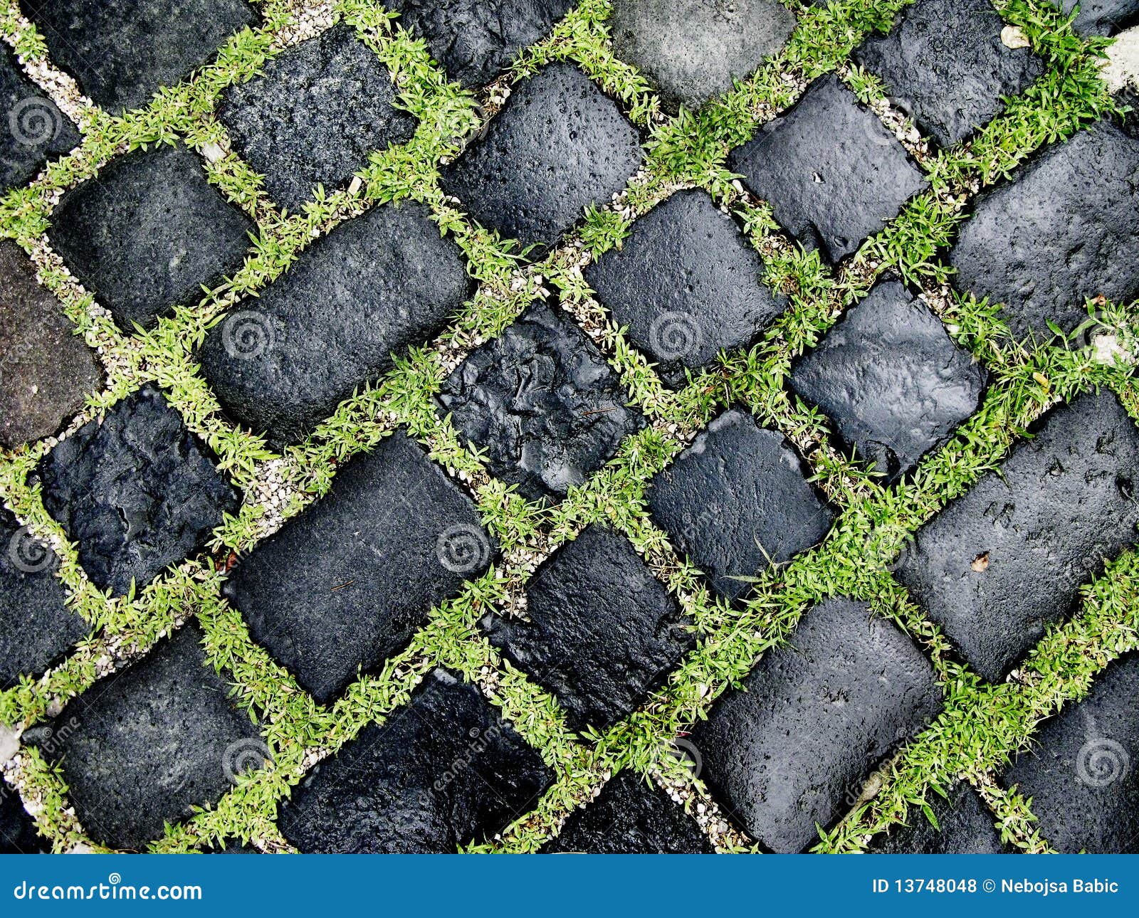 Cobble road stock photo. Image of irregular, grey, ancient - 13748048