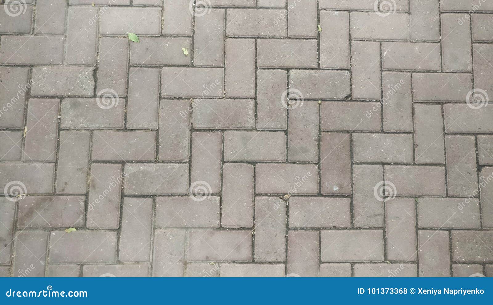 Cobble stone path stock photo. Image of lines, path - 101373368