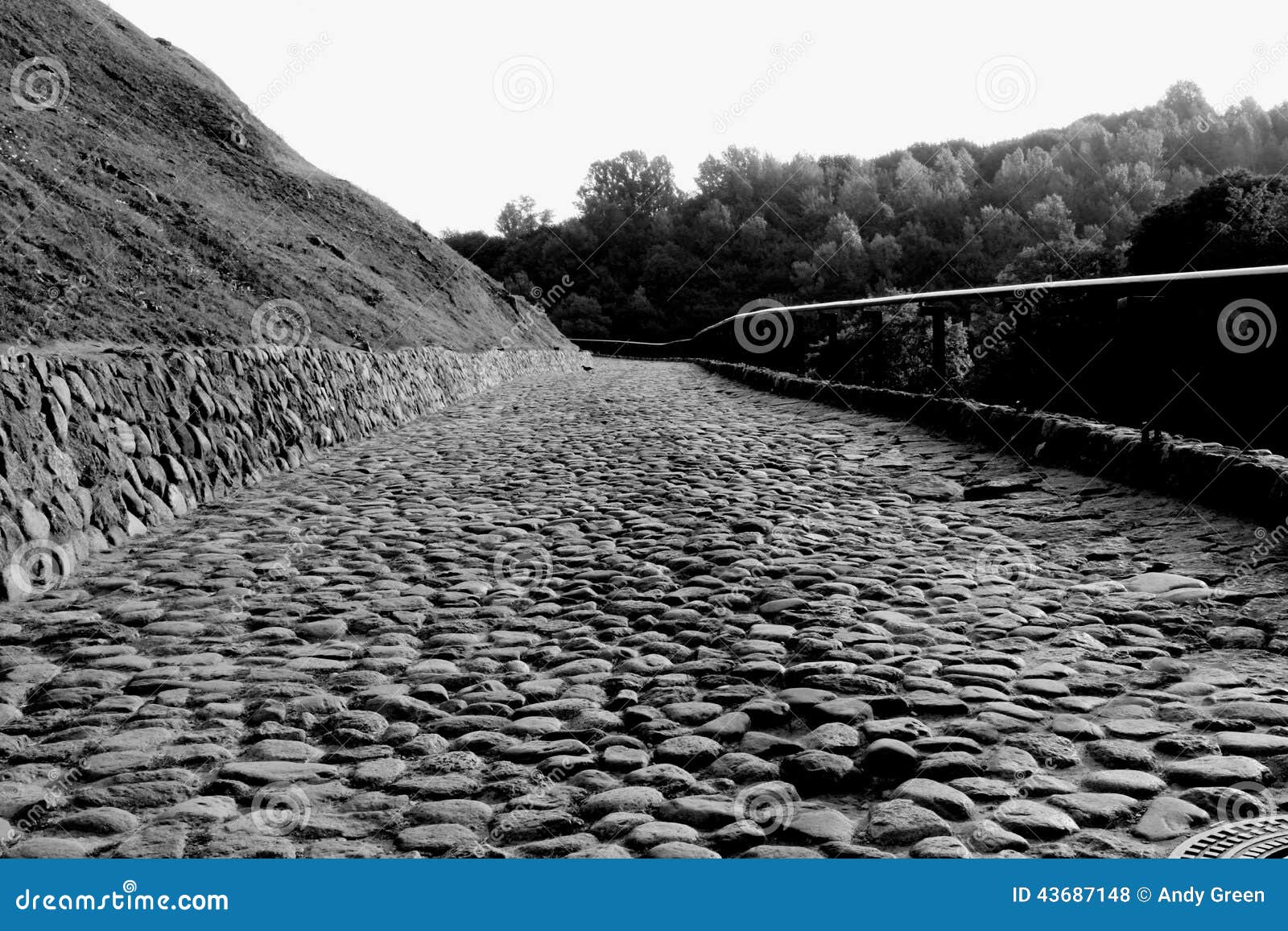 Cobble stone path stock photo. Image of path, cobble - 43687148