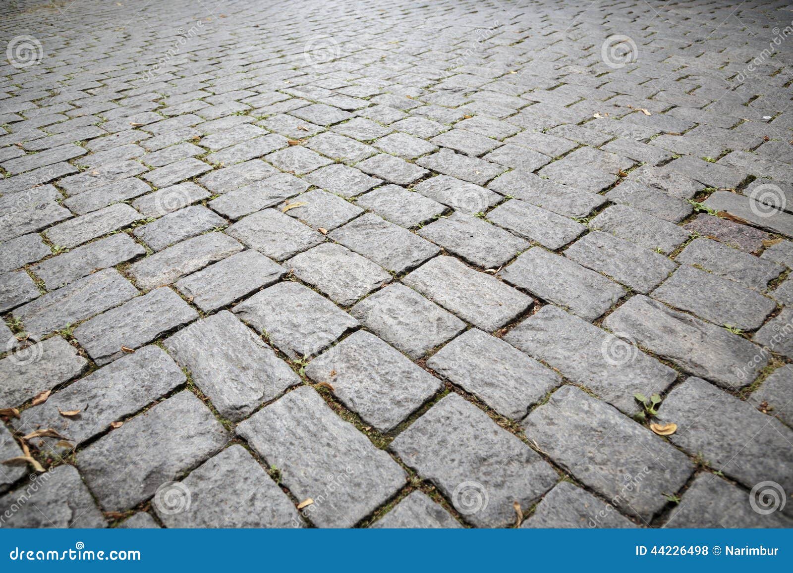 Cobble stone pavement stock photo. Image of background - 44226498