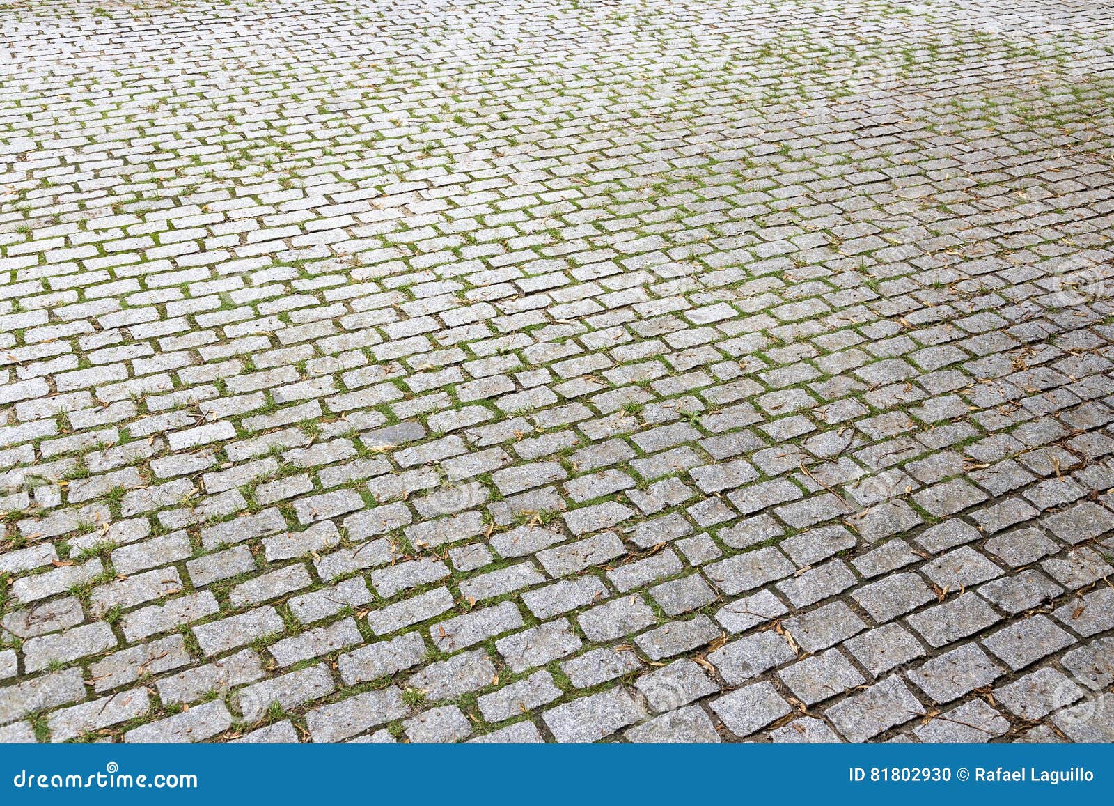 Cobble stone pavement stock photo. Image of footpath - 81802930