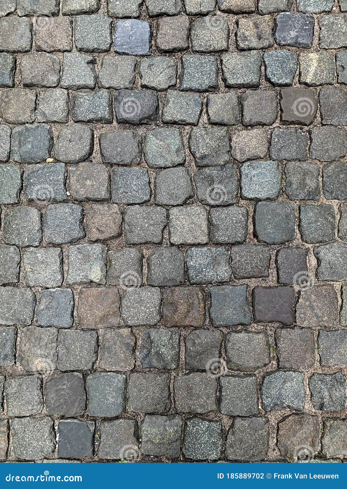 Cobble Stone Street Background Texture Stock Photo | CartoonDealer.com ...