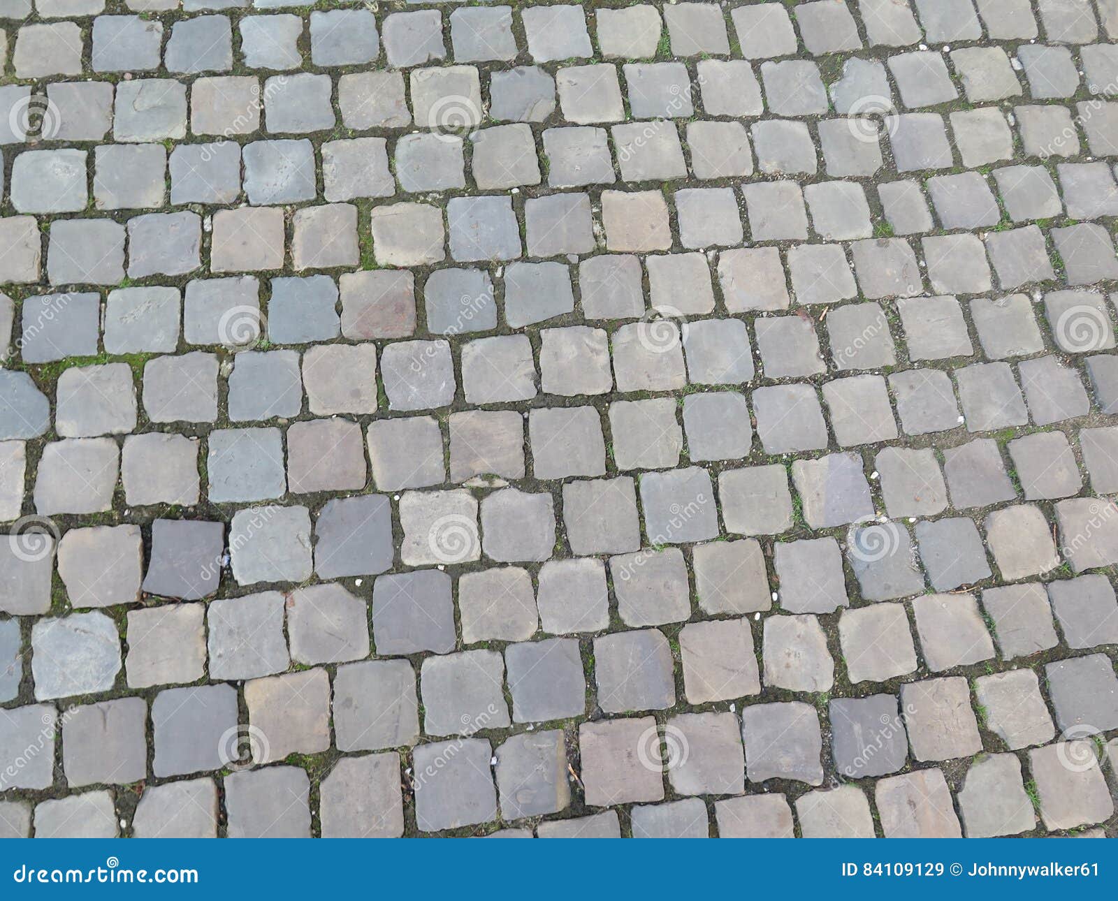 Cobble Stones in Town Square Stock Image - Image of light, stones: 84109129