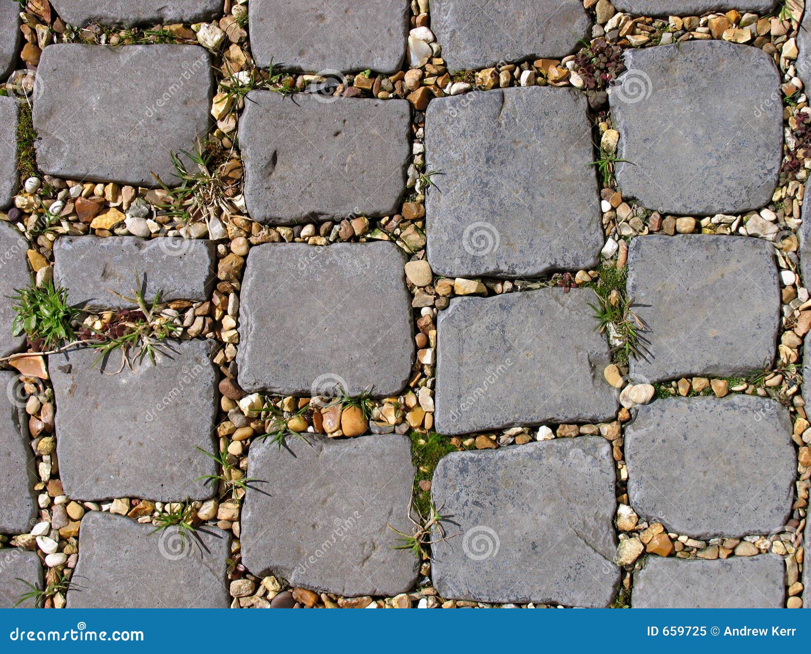 Cobbled path stock image. Image of shingle, weed, path - 659725