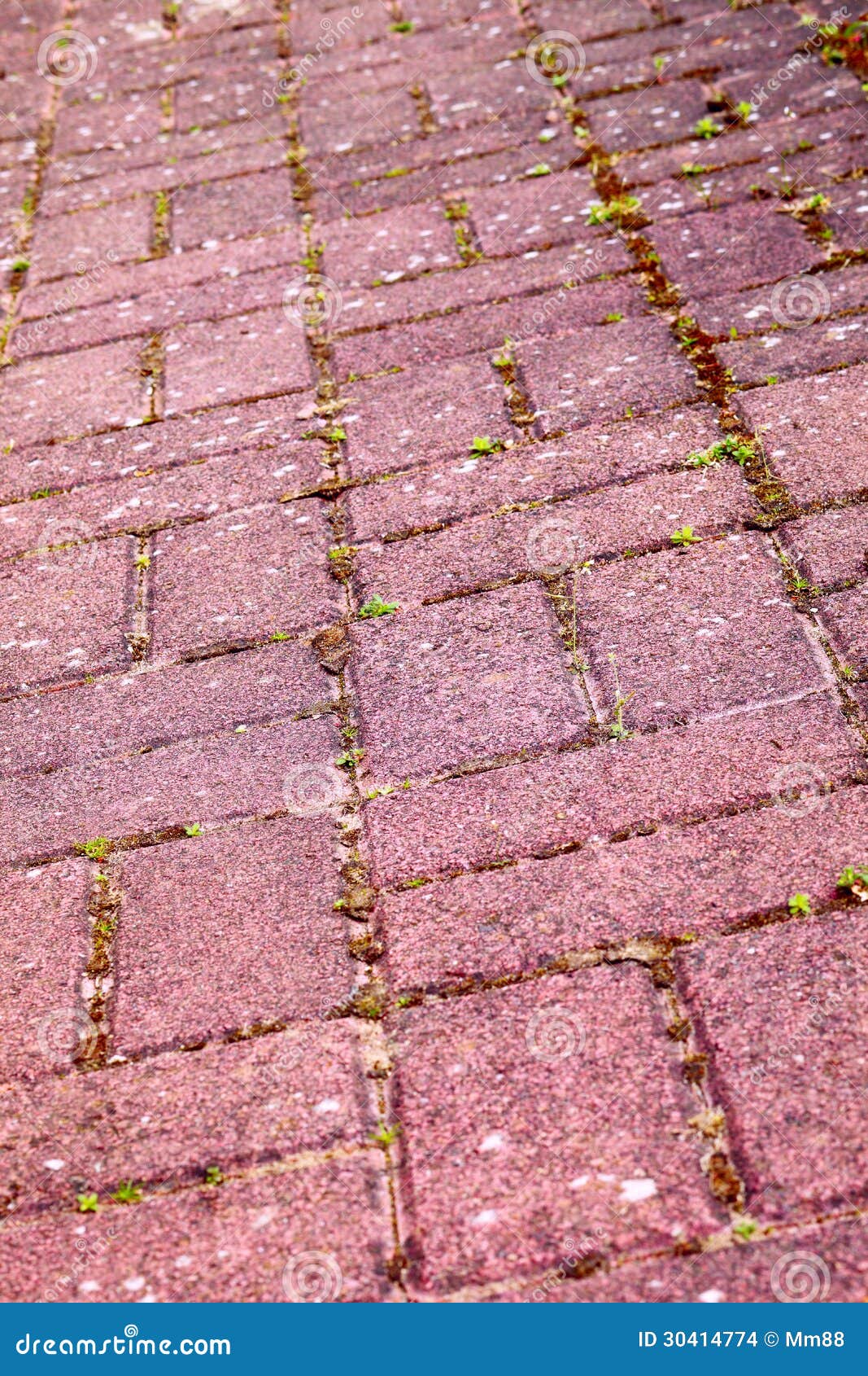 Cobbled path stock photo. Image of concrete, diagonal - 30414774