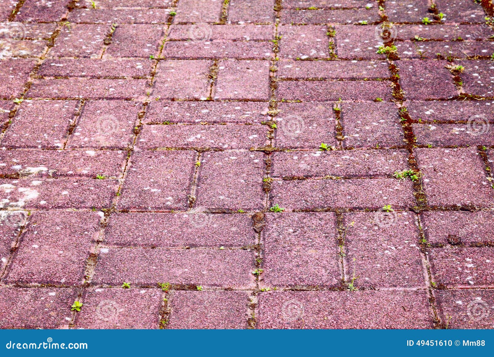 Cobbled path stock photo. Image of sidewalk, pavement - 49451610