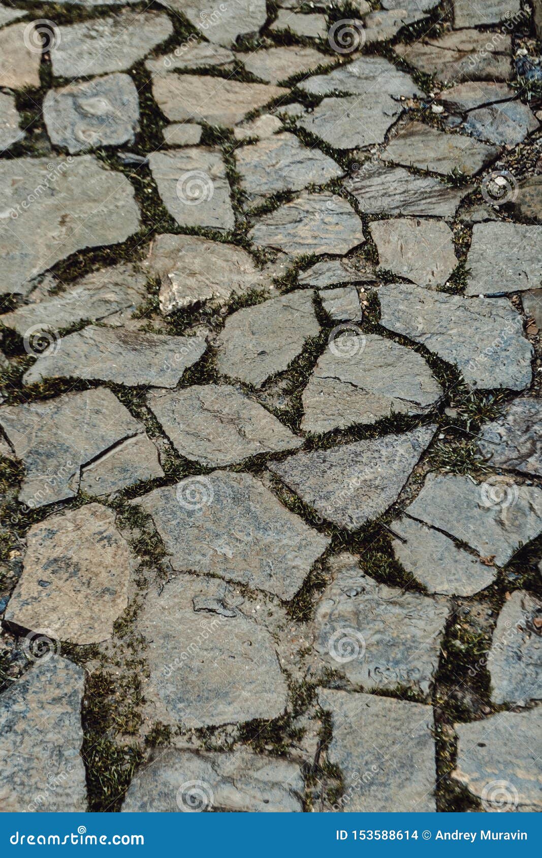 Old Cobbled Path In The Forest, Concept Of Mysterious Forest, Magic ...