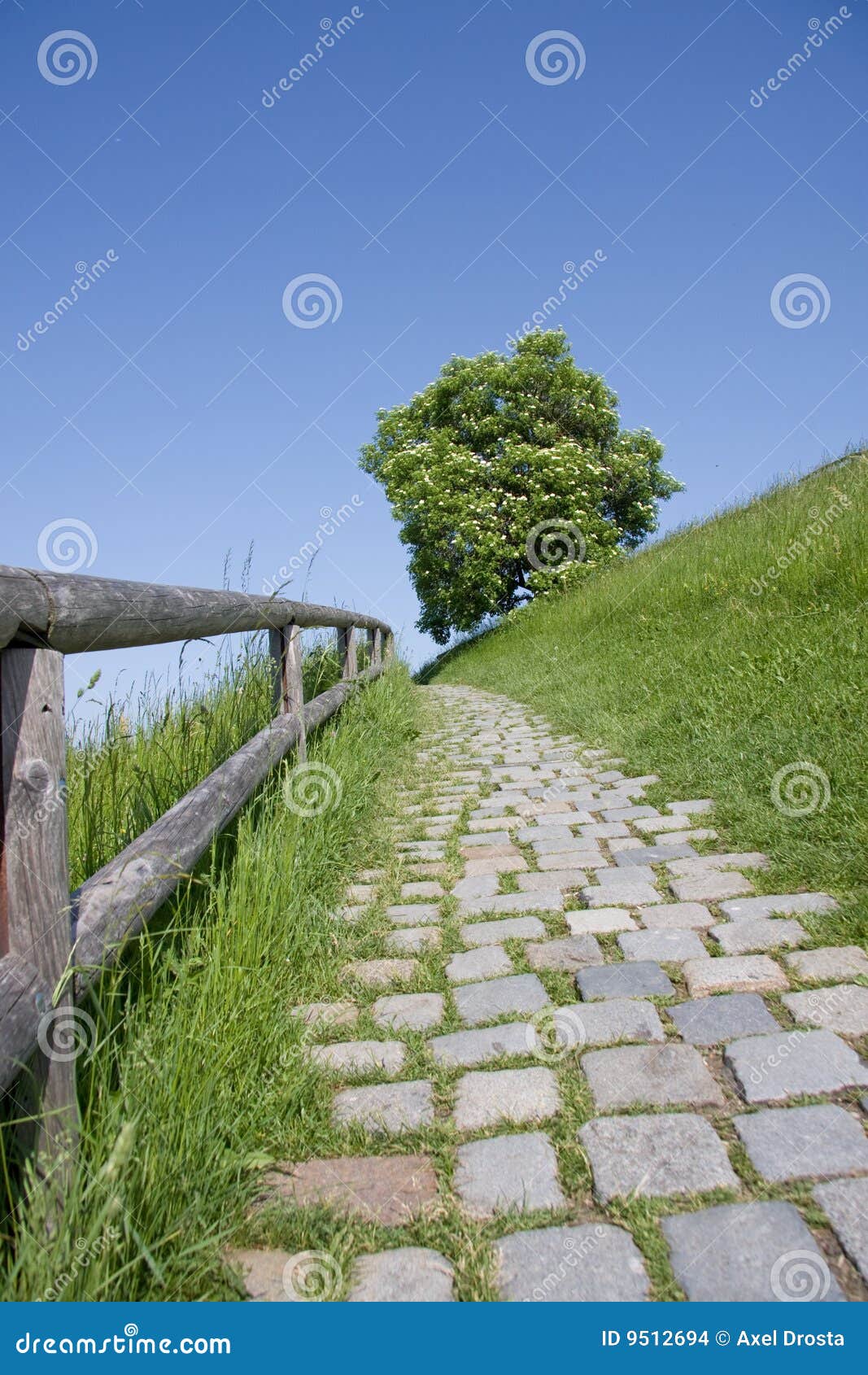 Cobbled Path in Countryside Stock Photo - Image of route, outside: 9512694