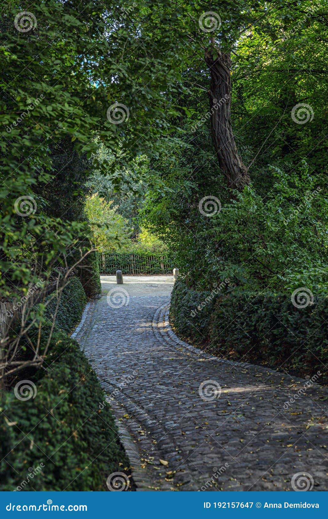 Cobbled Path in a Dense Green Park. Vertical Editorial Photography ...